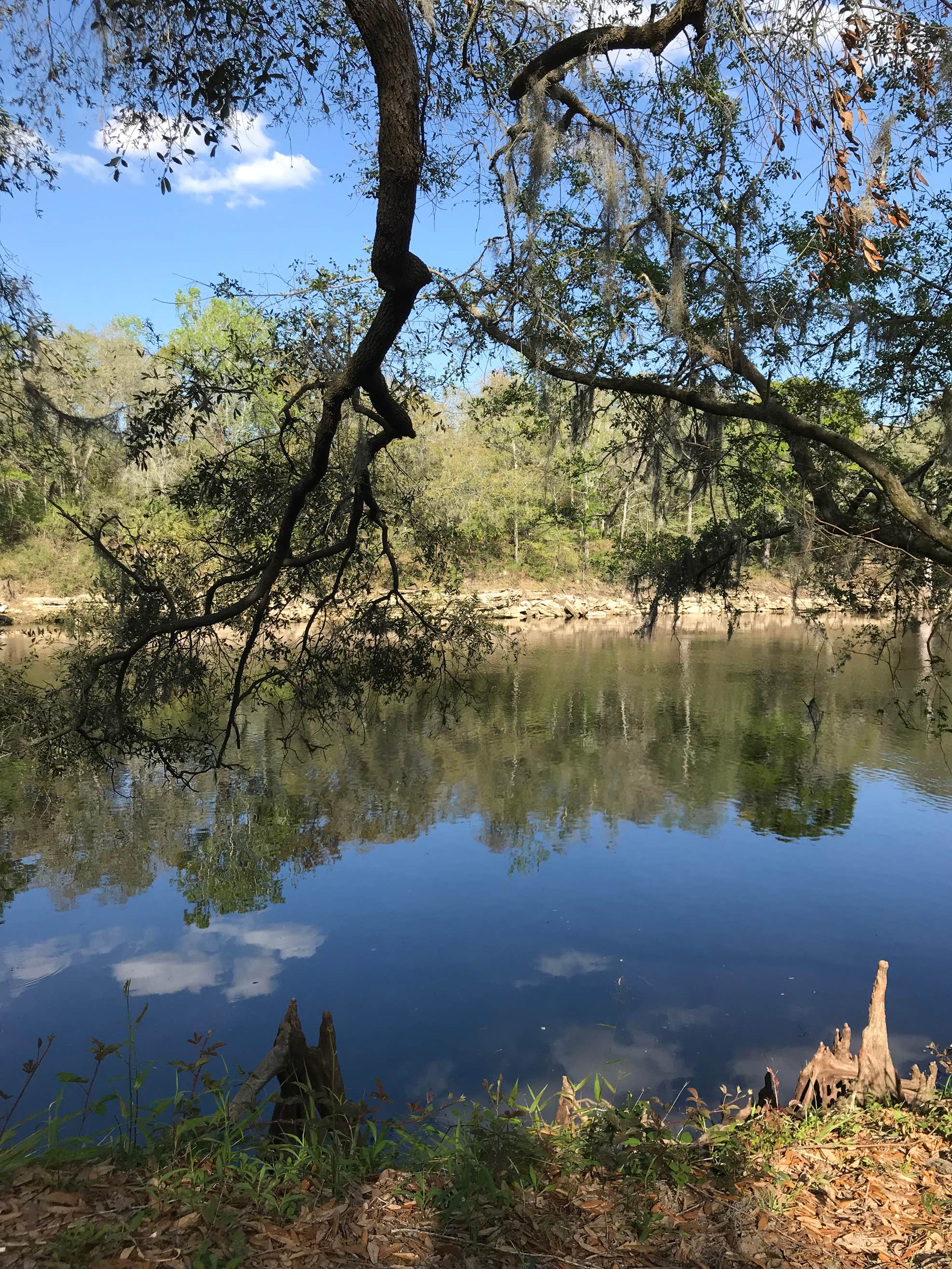 Suwannee River Rendezvous Resort | The Dyrt