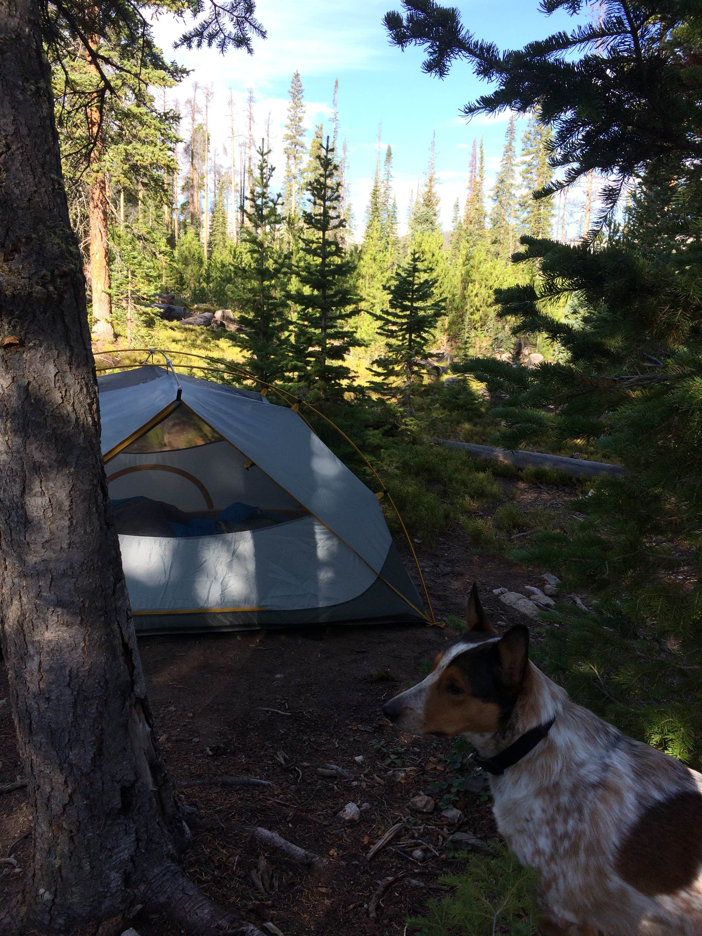 Long Draw Campground (Temporarily Closed) | Gould, Colorado