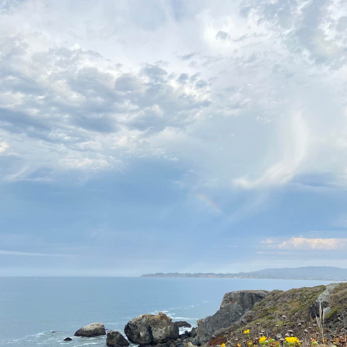 Steep Ravine Campground — Mount Tamalpais State Park | Stinson Beach ...
