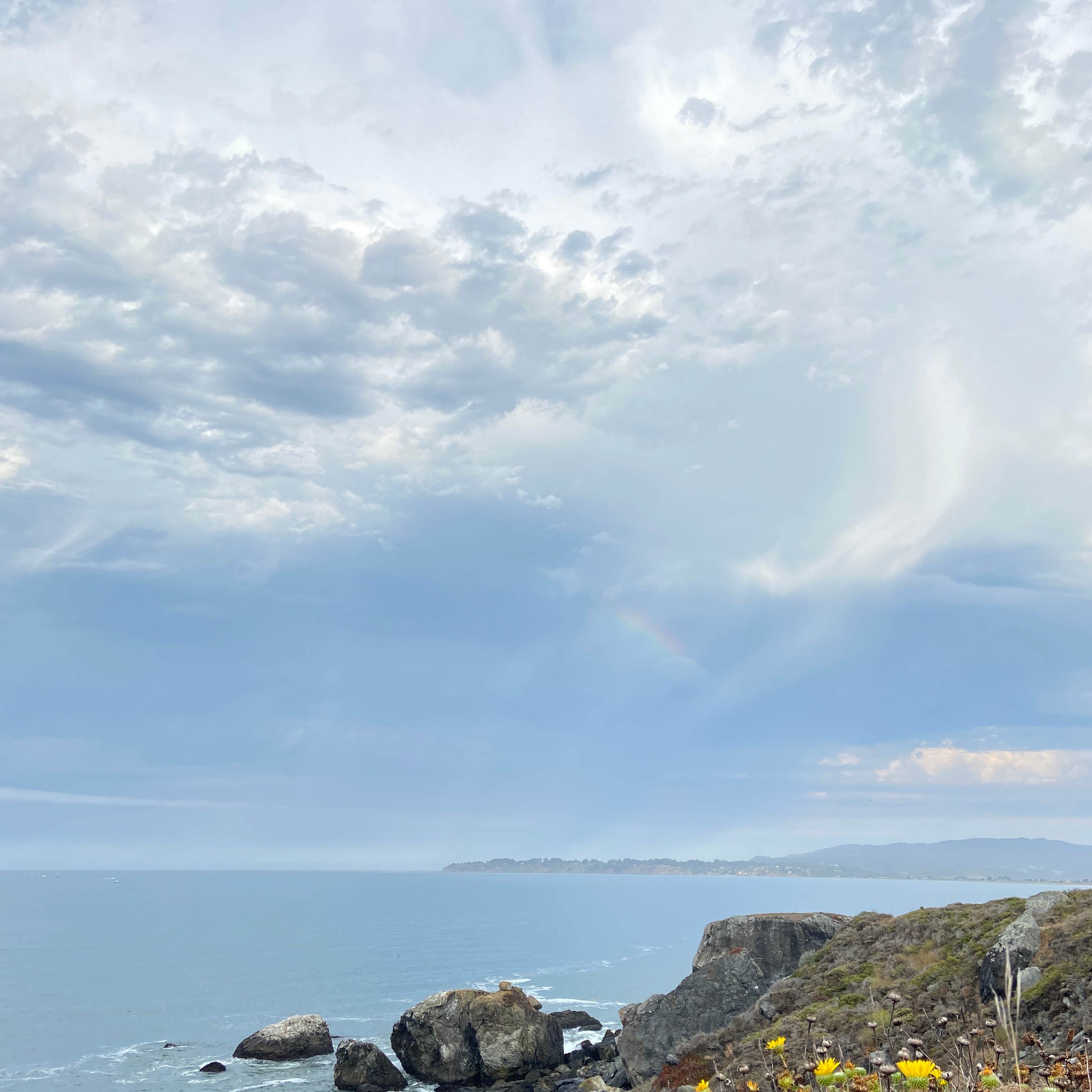 Steep Ravine Campground — Mount Tamalpais State Park | Stinson Beach ...