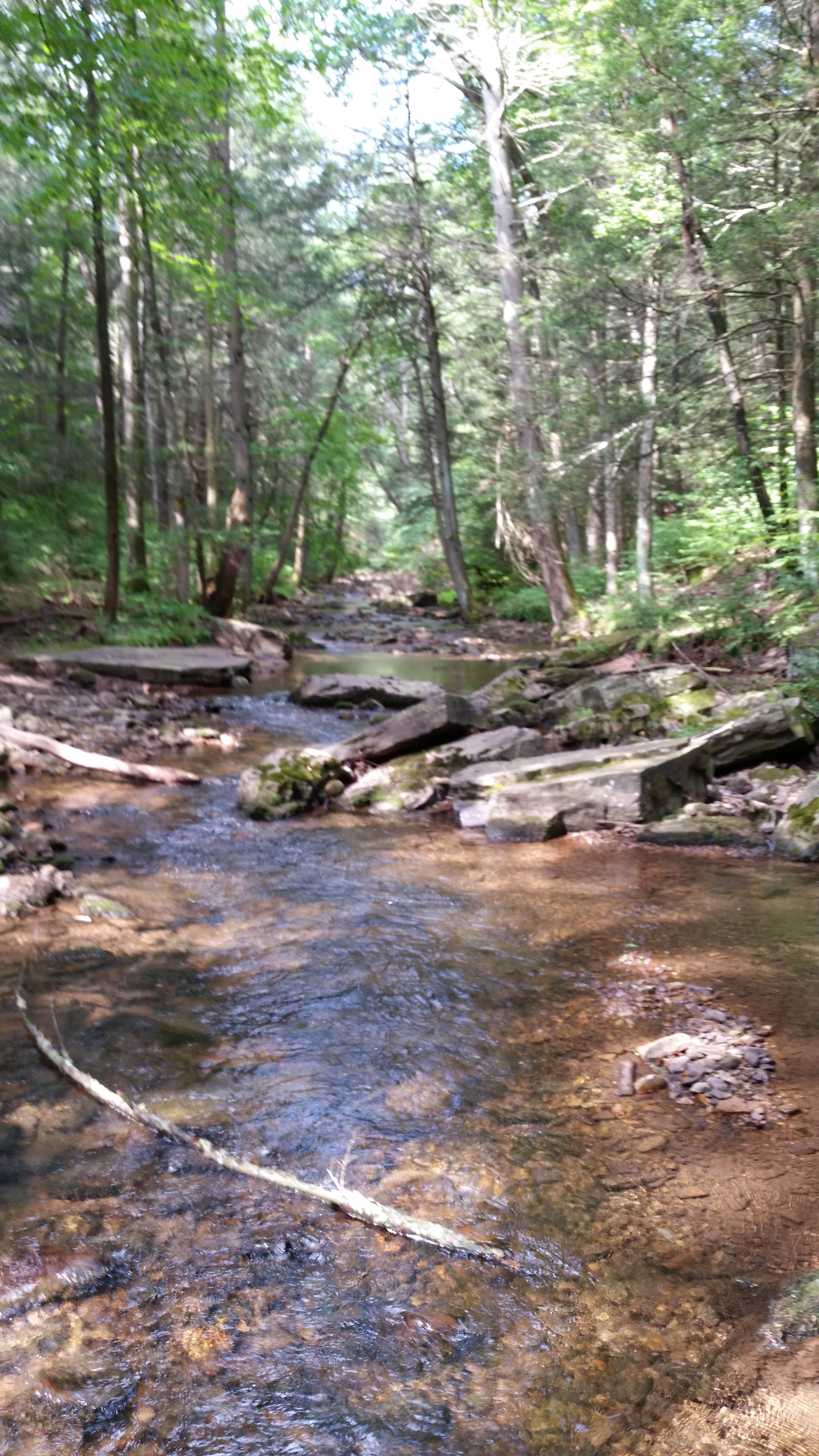 Tuscarora State Park Campground | Barnesville, PA