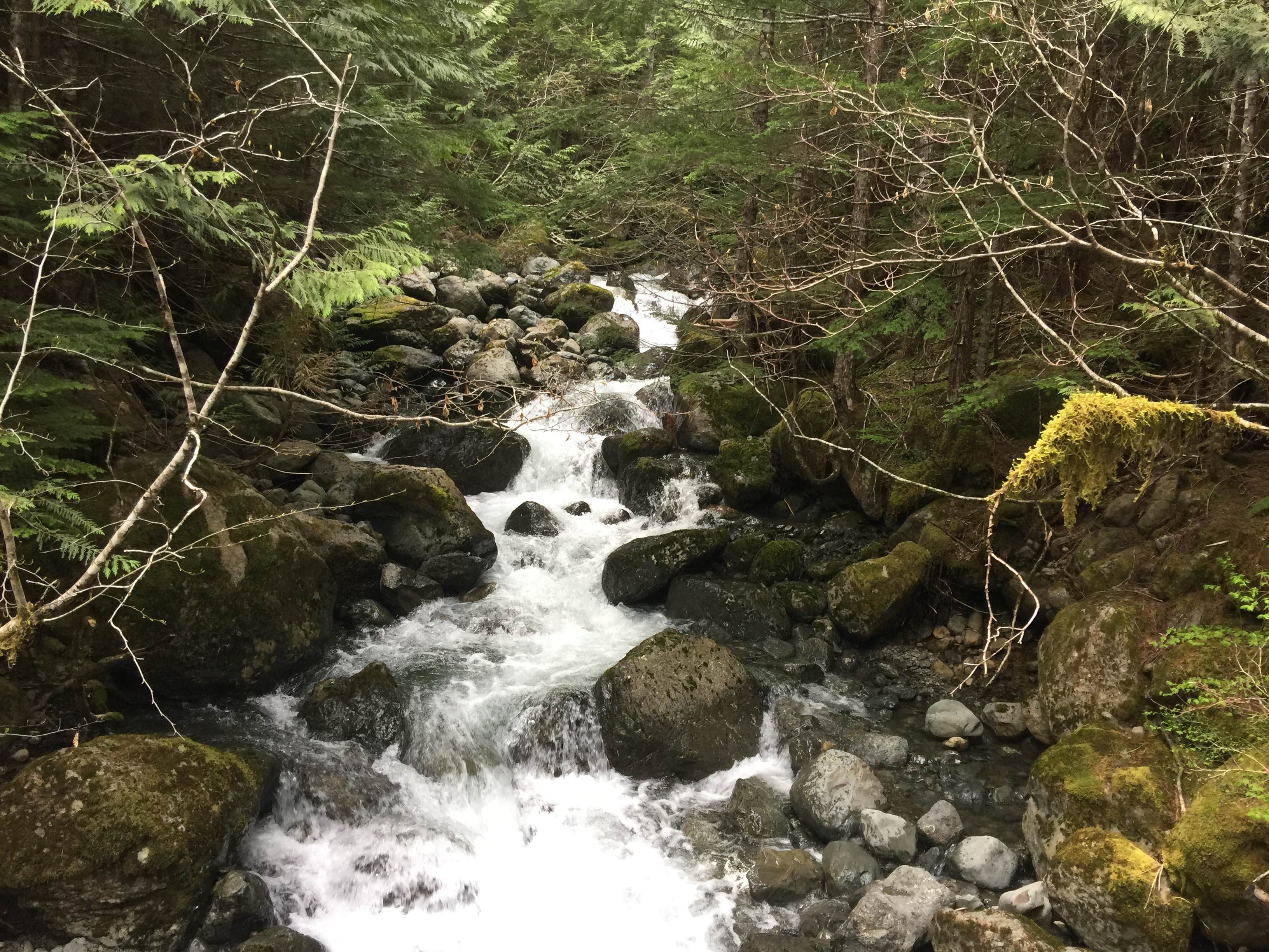 Big Creek Campground | The Dyrt