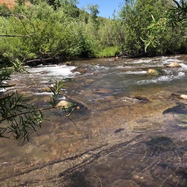 Red Banks Campground Camping | The Dyrt