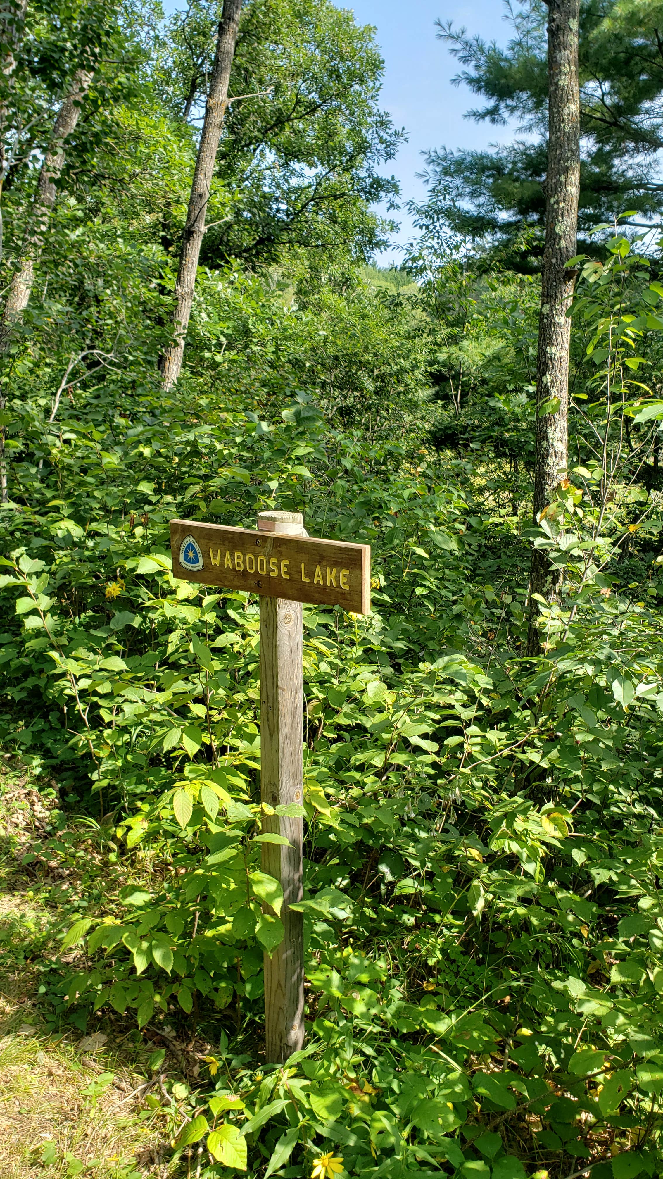 Waboose Lake - Paul Bunyan SF Camping | Akeley, MN