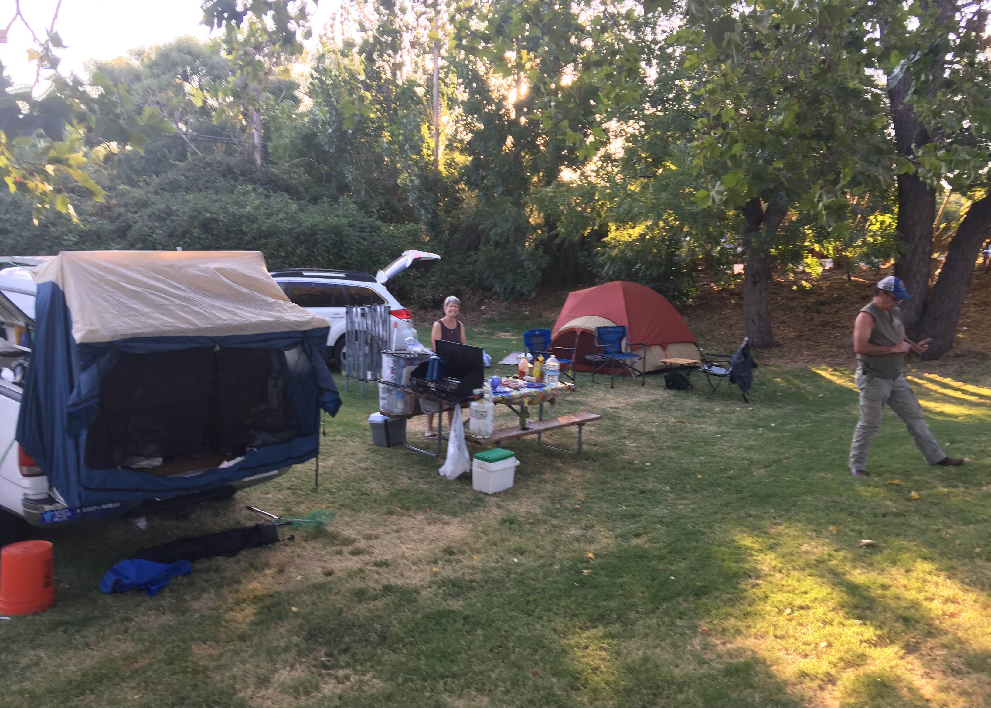 Sugar Barge RV Resort & Marina Camping | The Dyrt