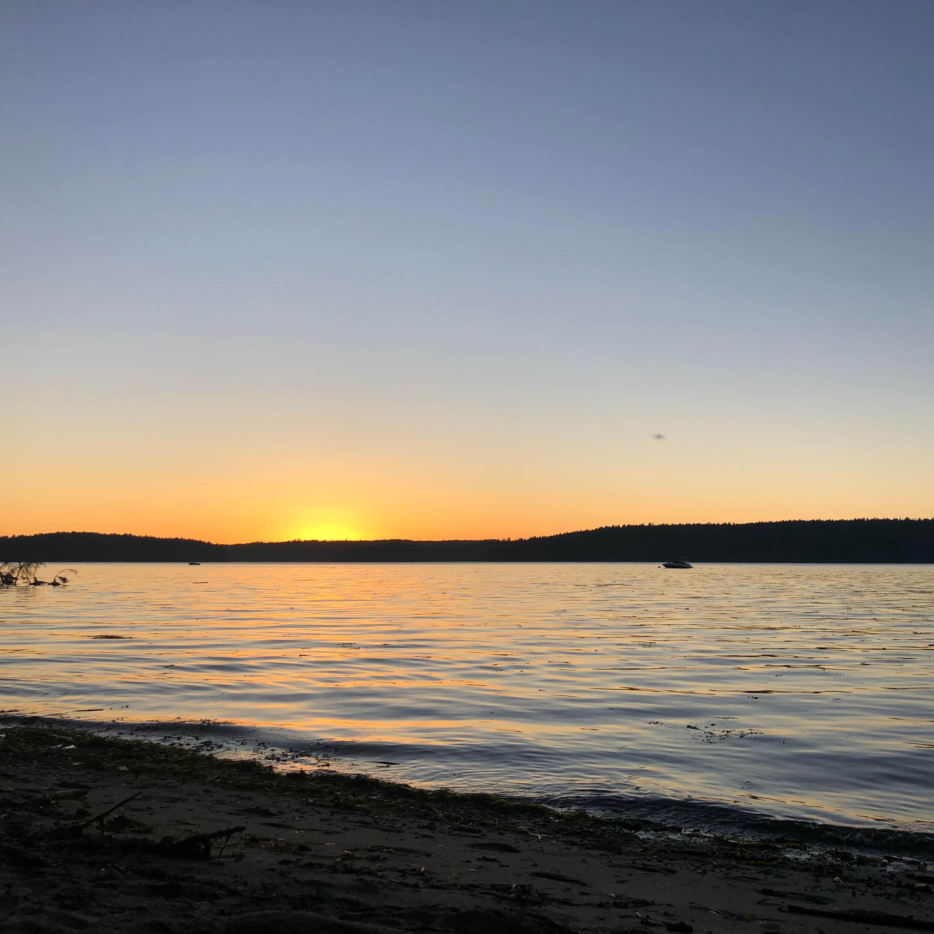 Odlin County Park Camping - Lopez Island Camping | The Dyrt