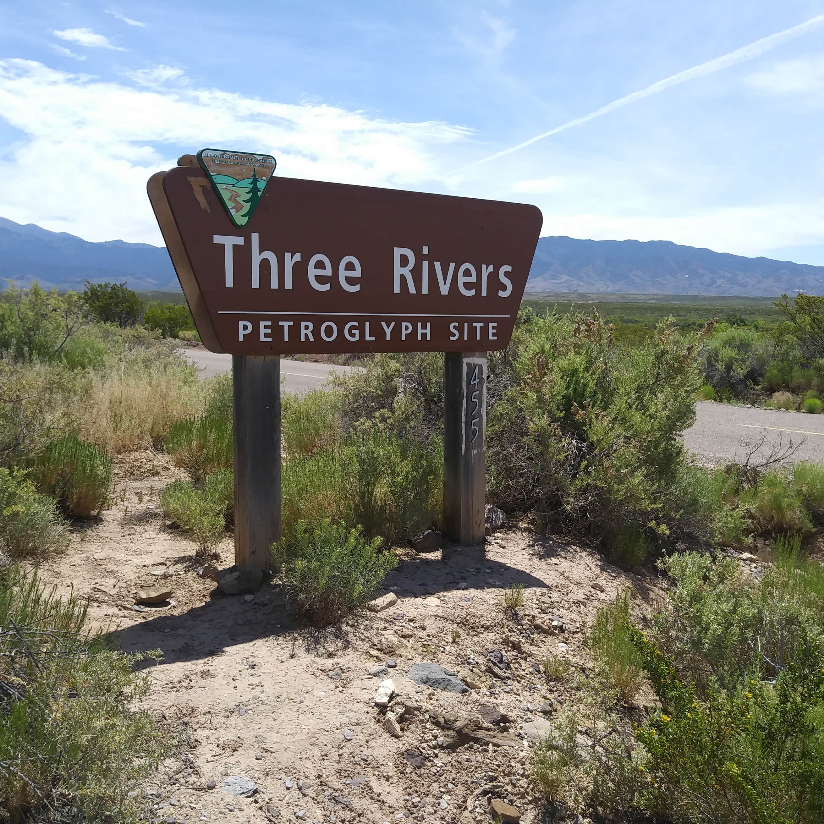 Three Rivers Petroglyph Site Camping | The Dyrt