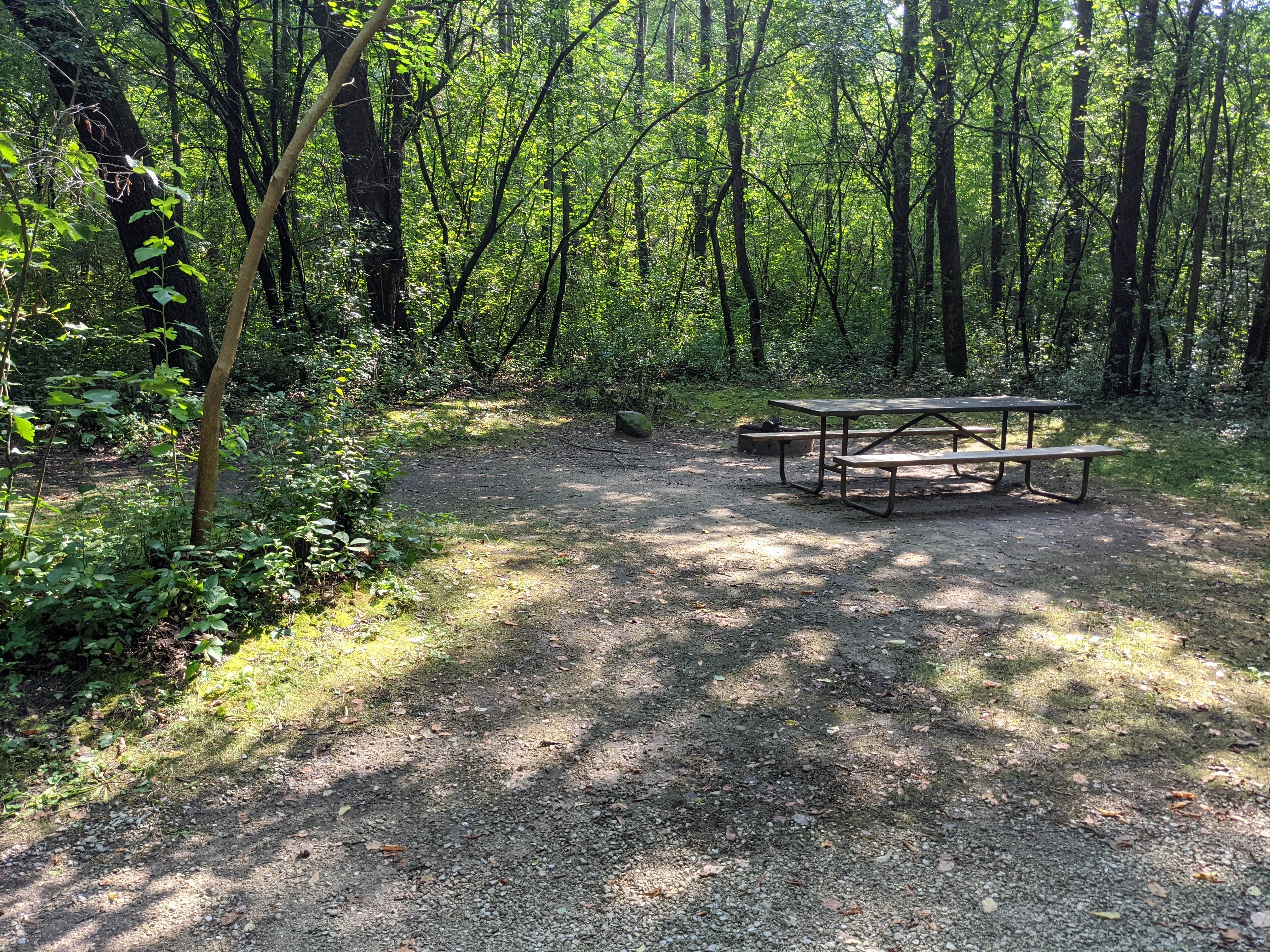 Sunrise Campground — Richard Bong State Recreation Area | Burlington ...