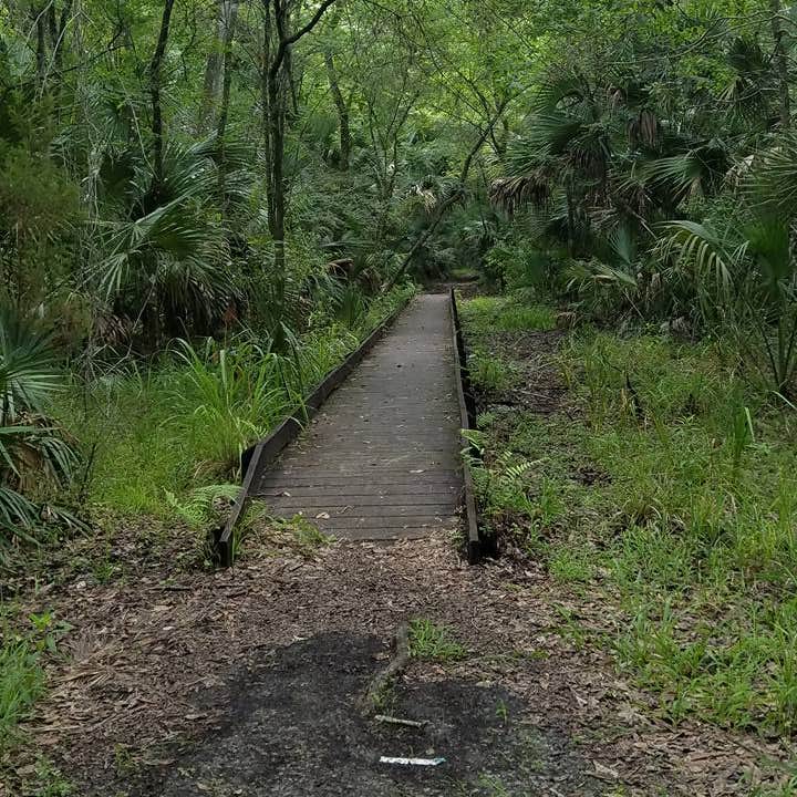 Jay B. Starkey Wilderness Park Camping | The Dyrt