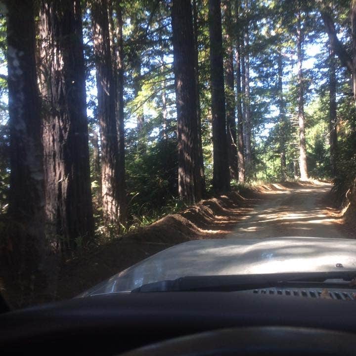 Usal Beach - Sinkyone Wilderness State Park Camping | The Dyrt