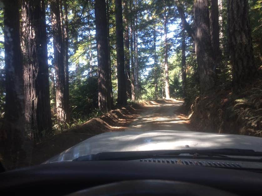 Usal Beach - Sinkyone Wilderness State Park Camping | The Dyrt