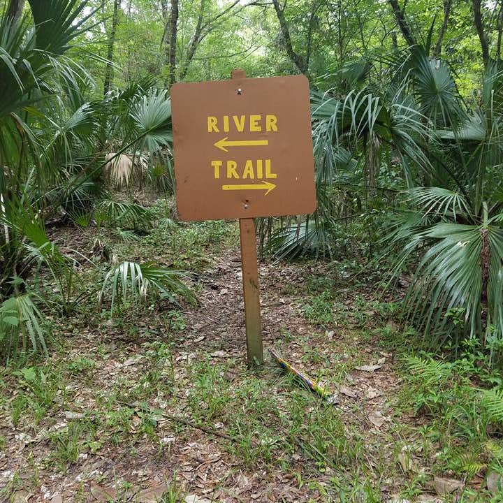 Jay B. Starkey Wilderness Park Camping | The Dyrt