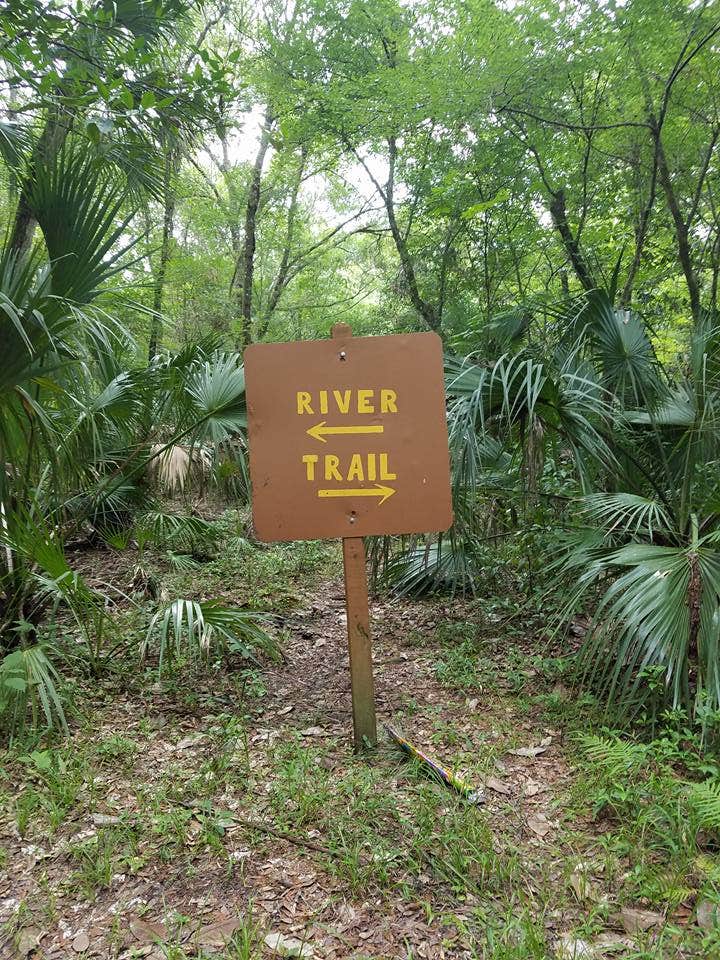 Jay B. Starkey Wilderness Park Camping | New Port Richey, FL