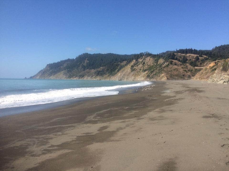 Usal Beach Campsites — Sinkyone Wilderness State Park | Leggett, California