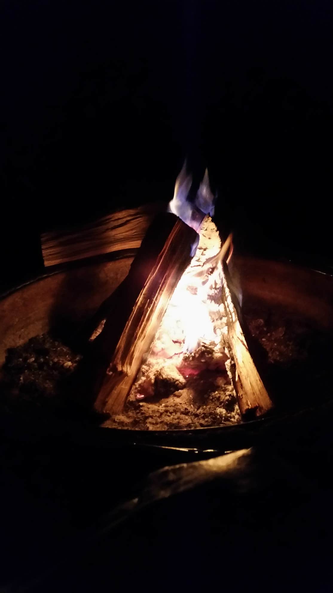 Hartwick Pines State Park Camping | The Dyrt