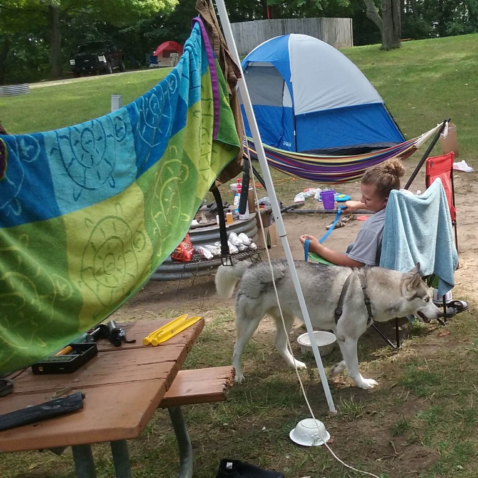 Waterloo State Recreation Area Portage Lake Camping | The Dyrt