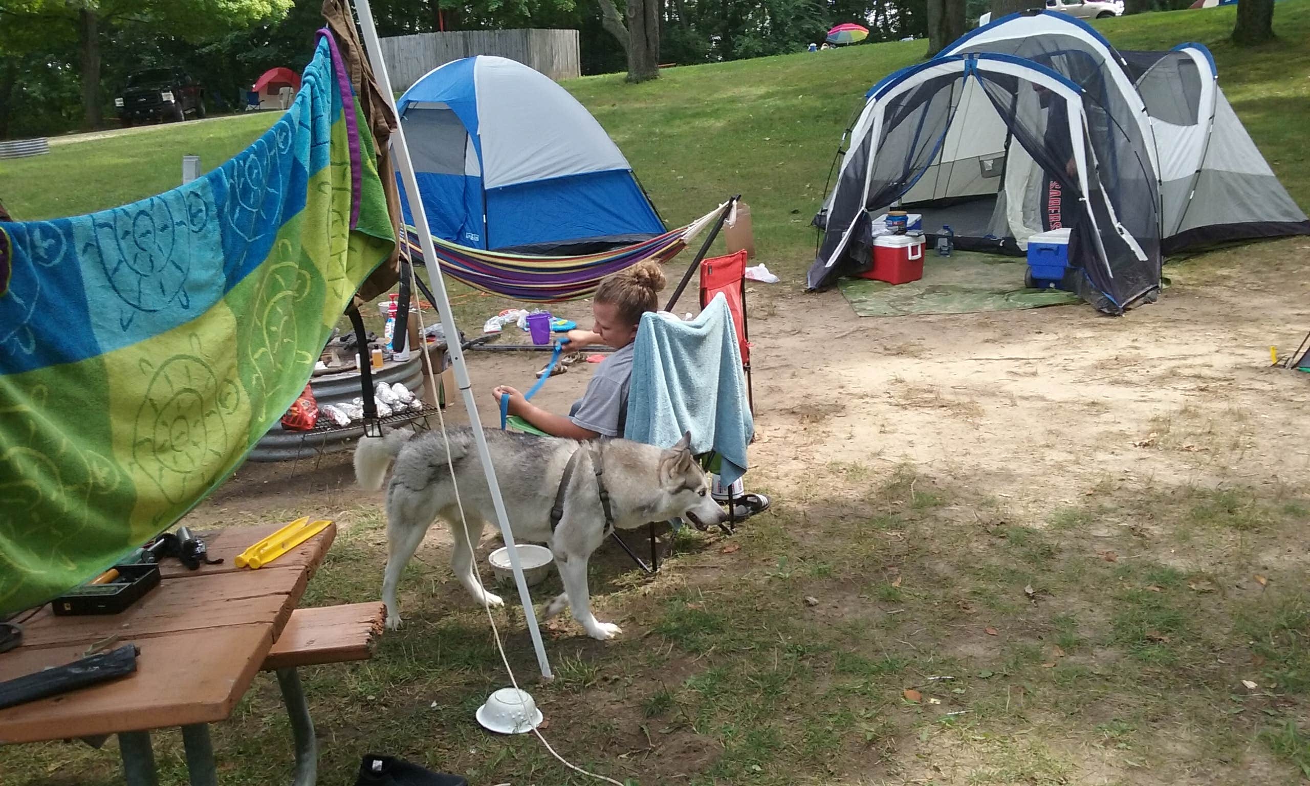Waterloo Portage Lake Modern — Waterloo Recreation Area Camping | Grass ...
