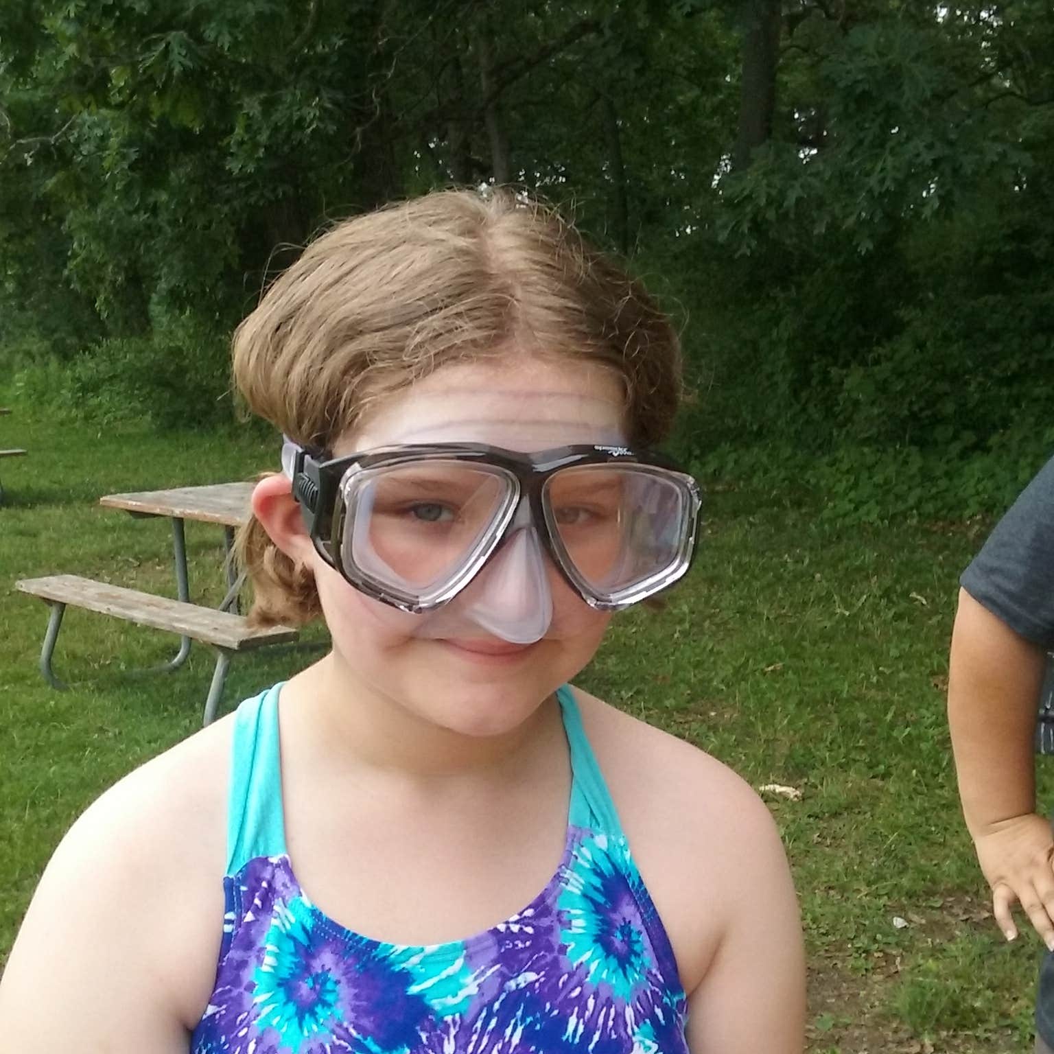 Waterloo State Recreation Area Portage Lake Camping | The Dyrt