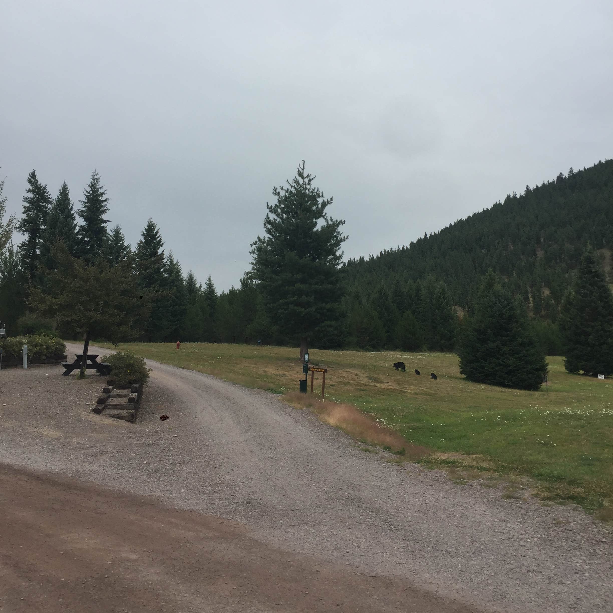 Nugget RV Resort Camping | The Dyrt