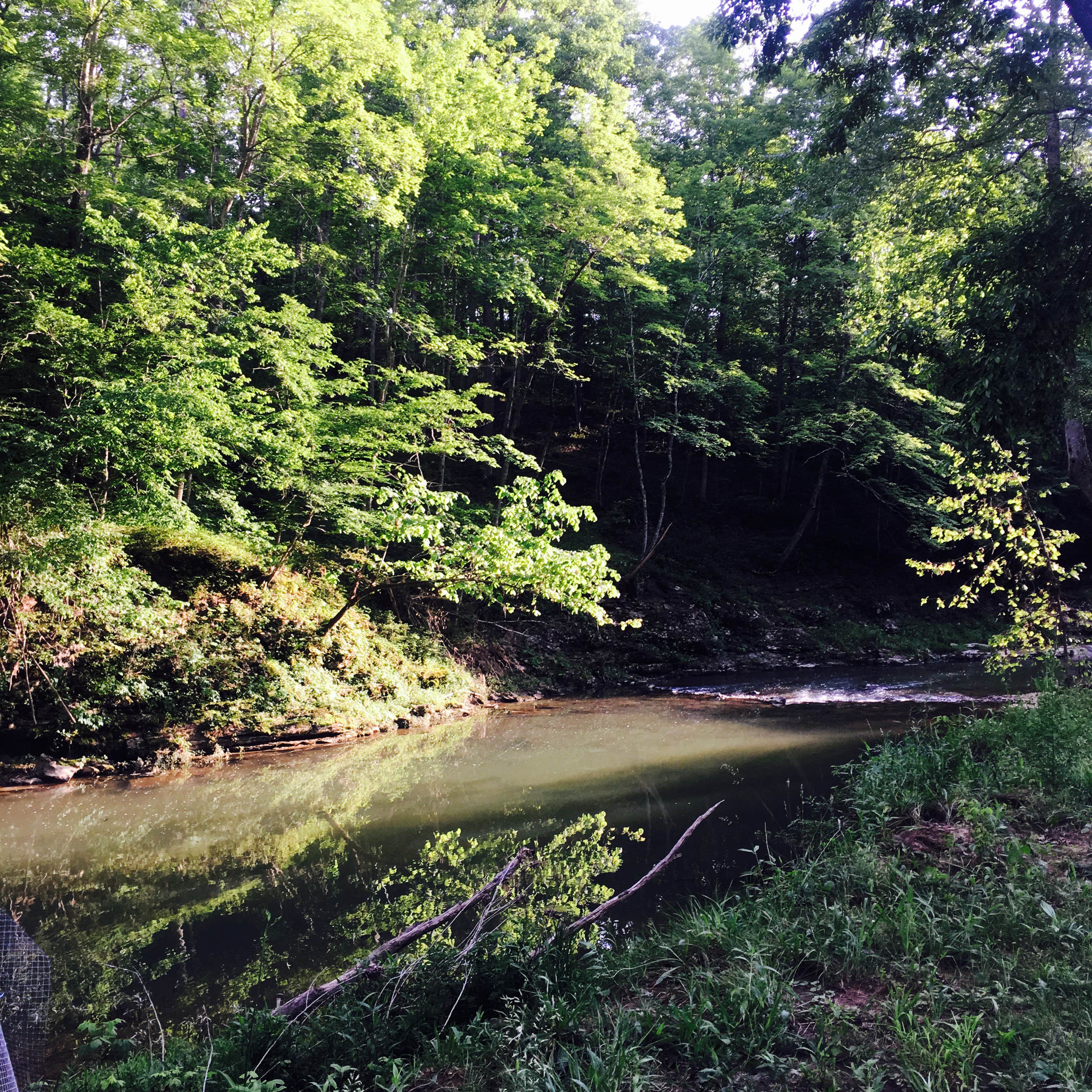 Sycamore Springs Park Camping | English, Indiana