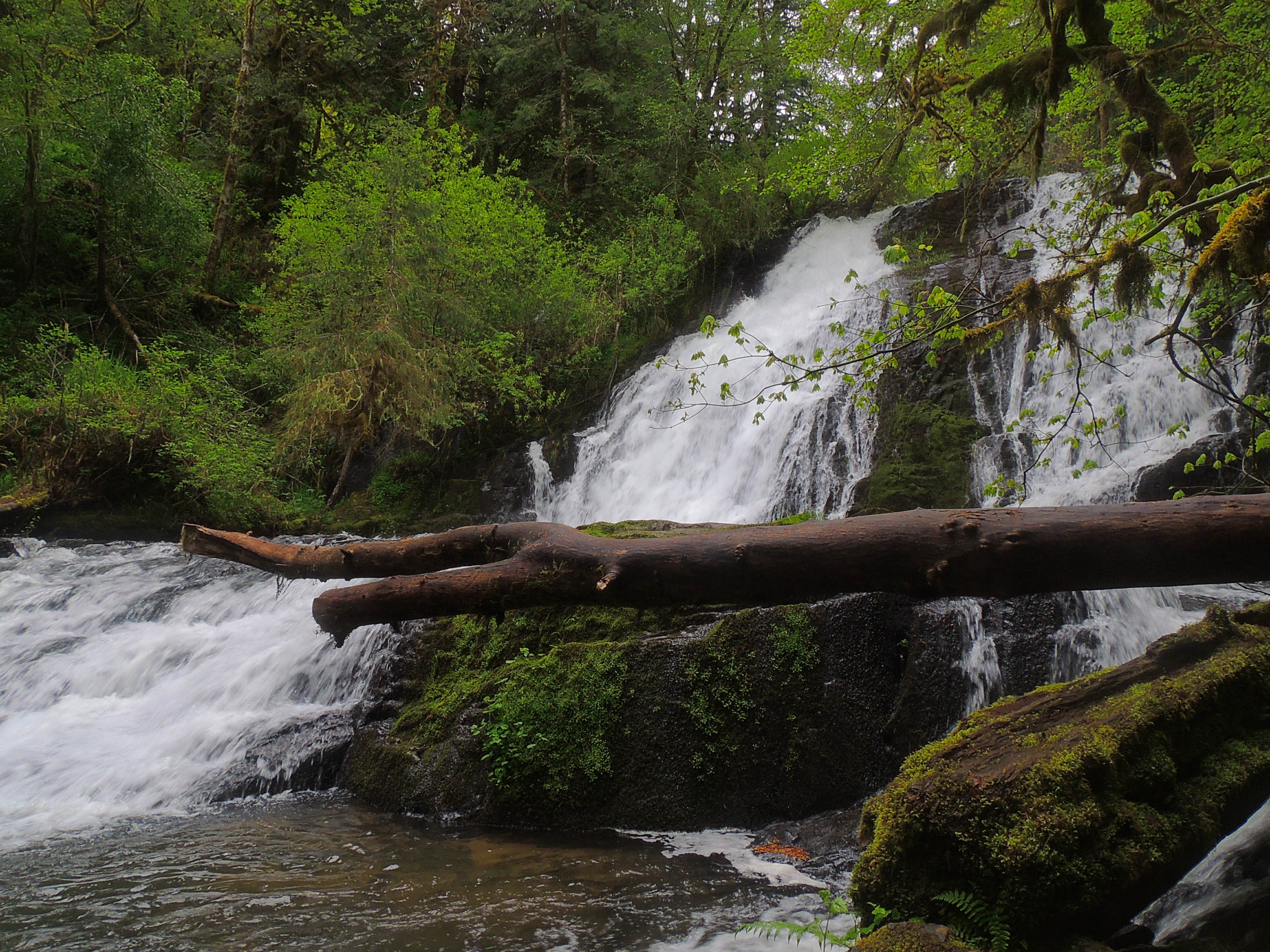 Hubert K McBee Memorial Campground | Alsea, OR