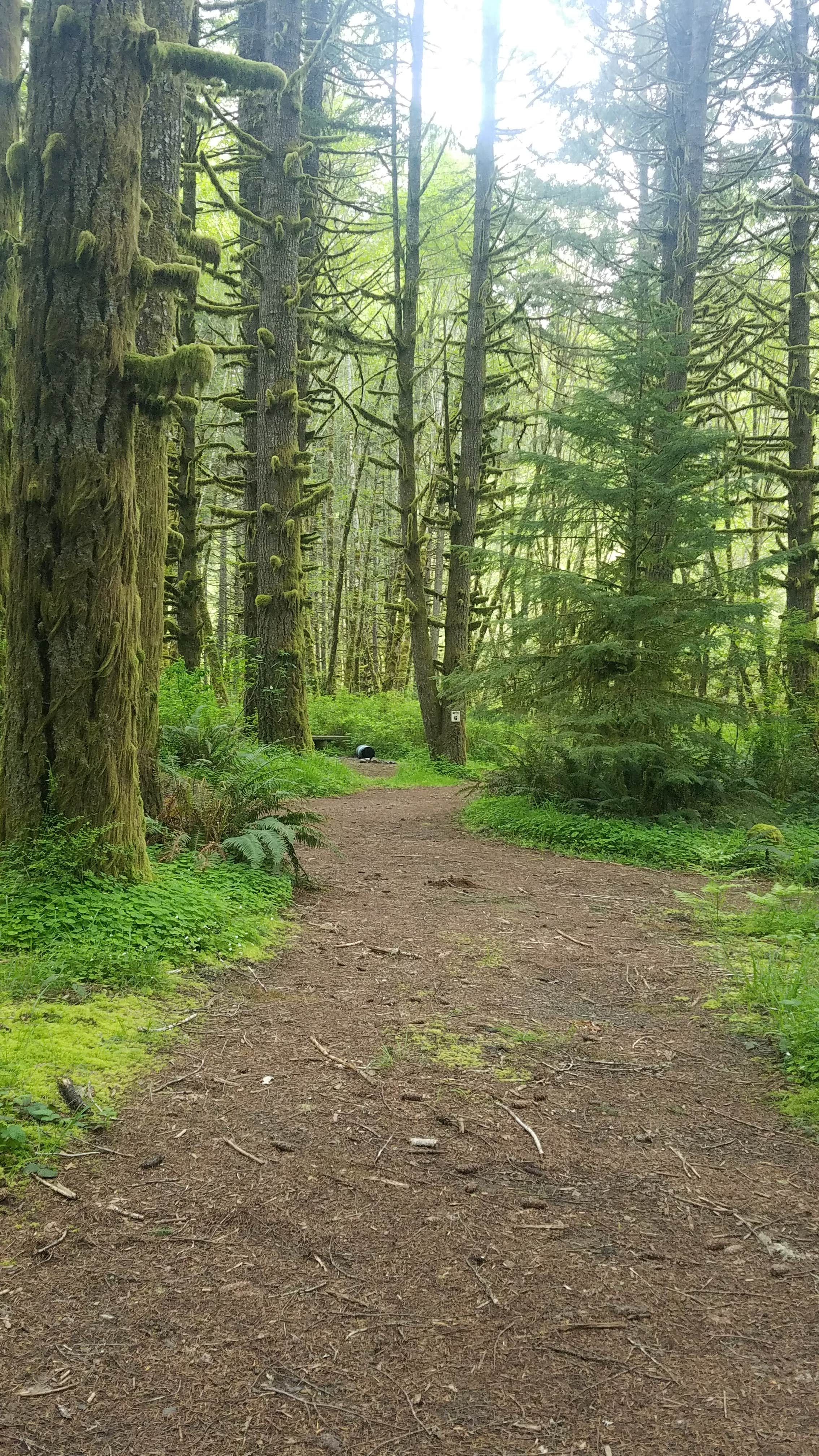 Hubert K McBee Memorial Campground | Alsea, OR