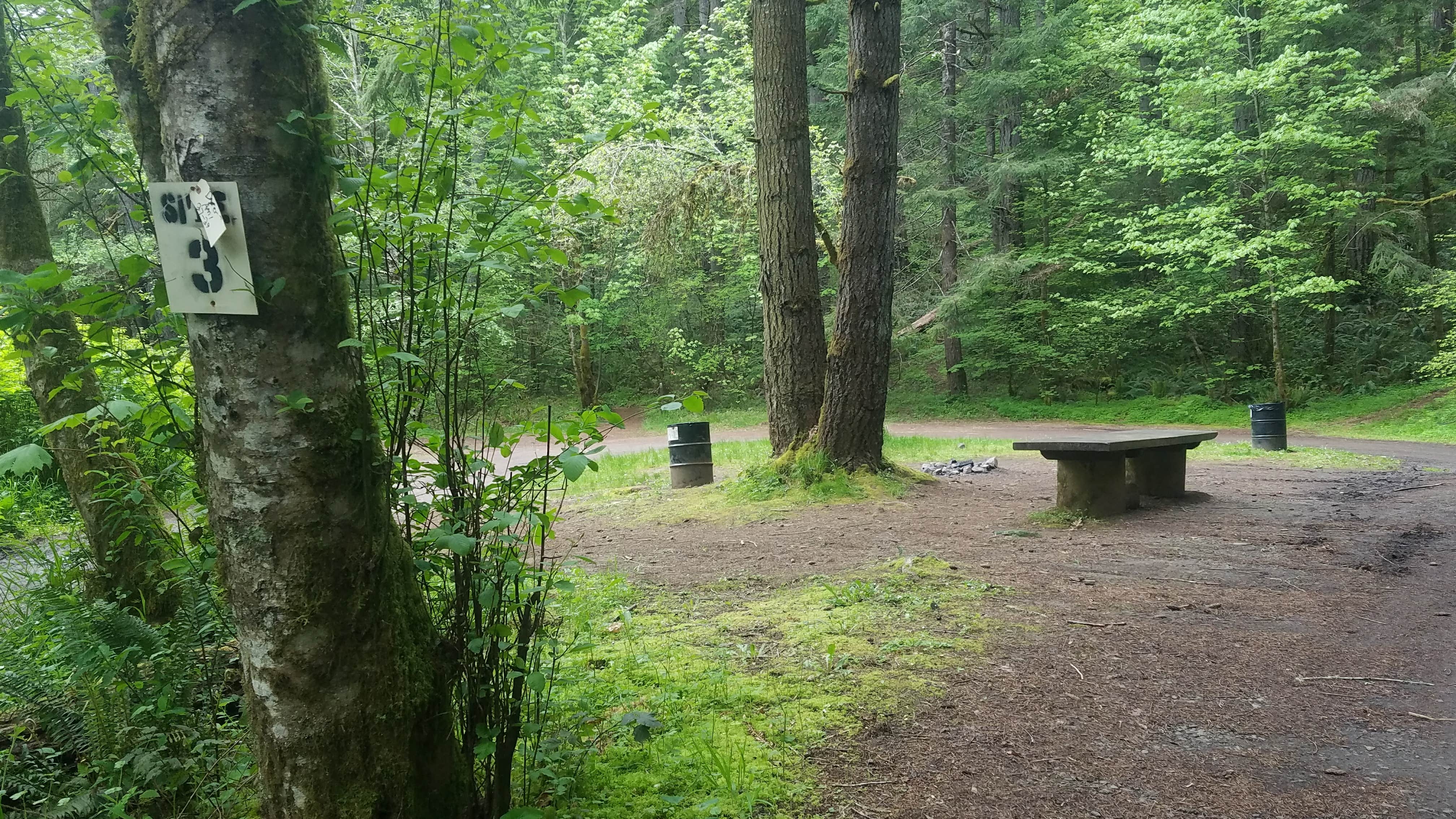Hubert K McBee Memorial Campground | Alsea, OR