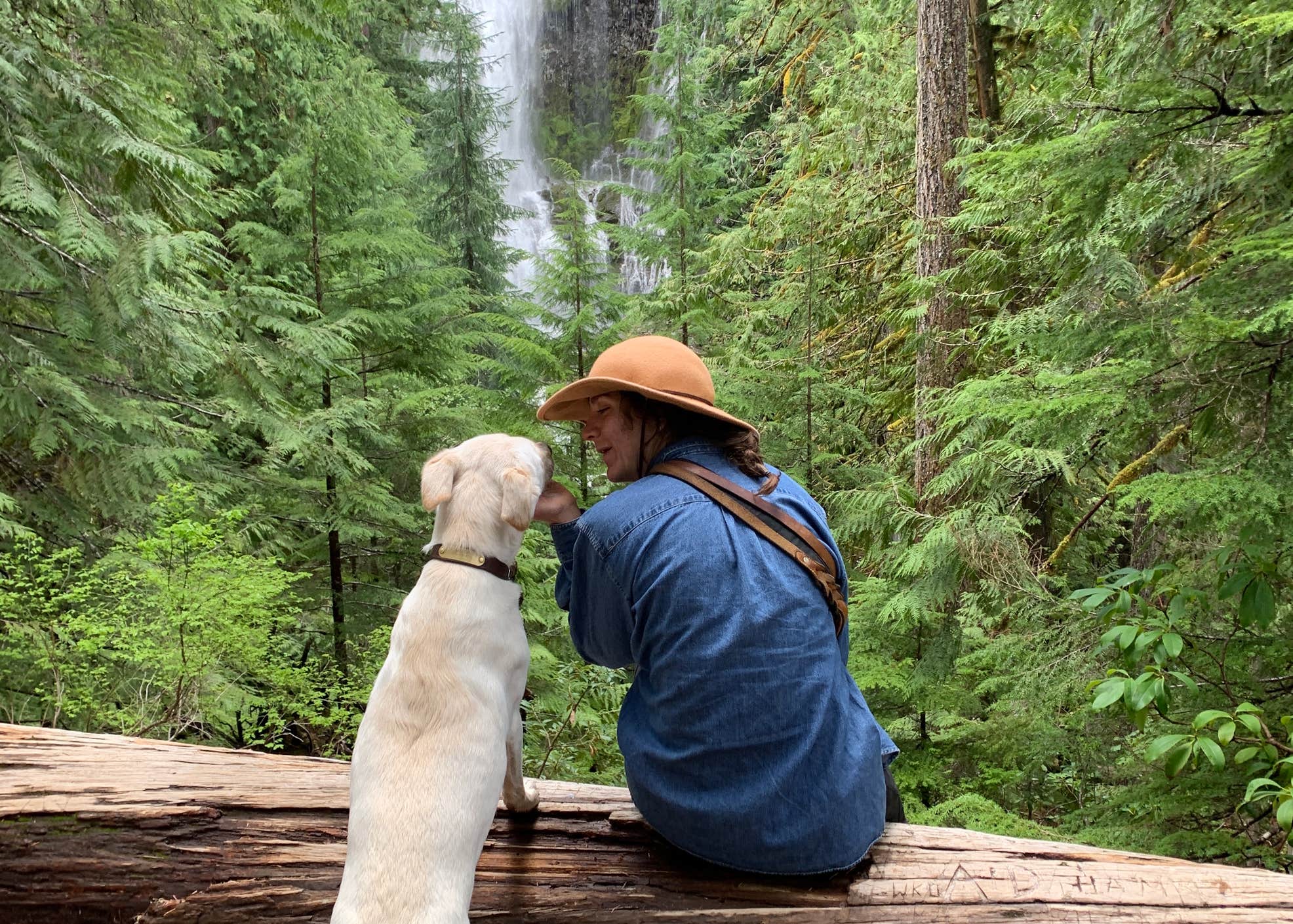 McKenzie River Area Camping | The Dyrt