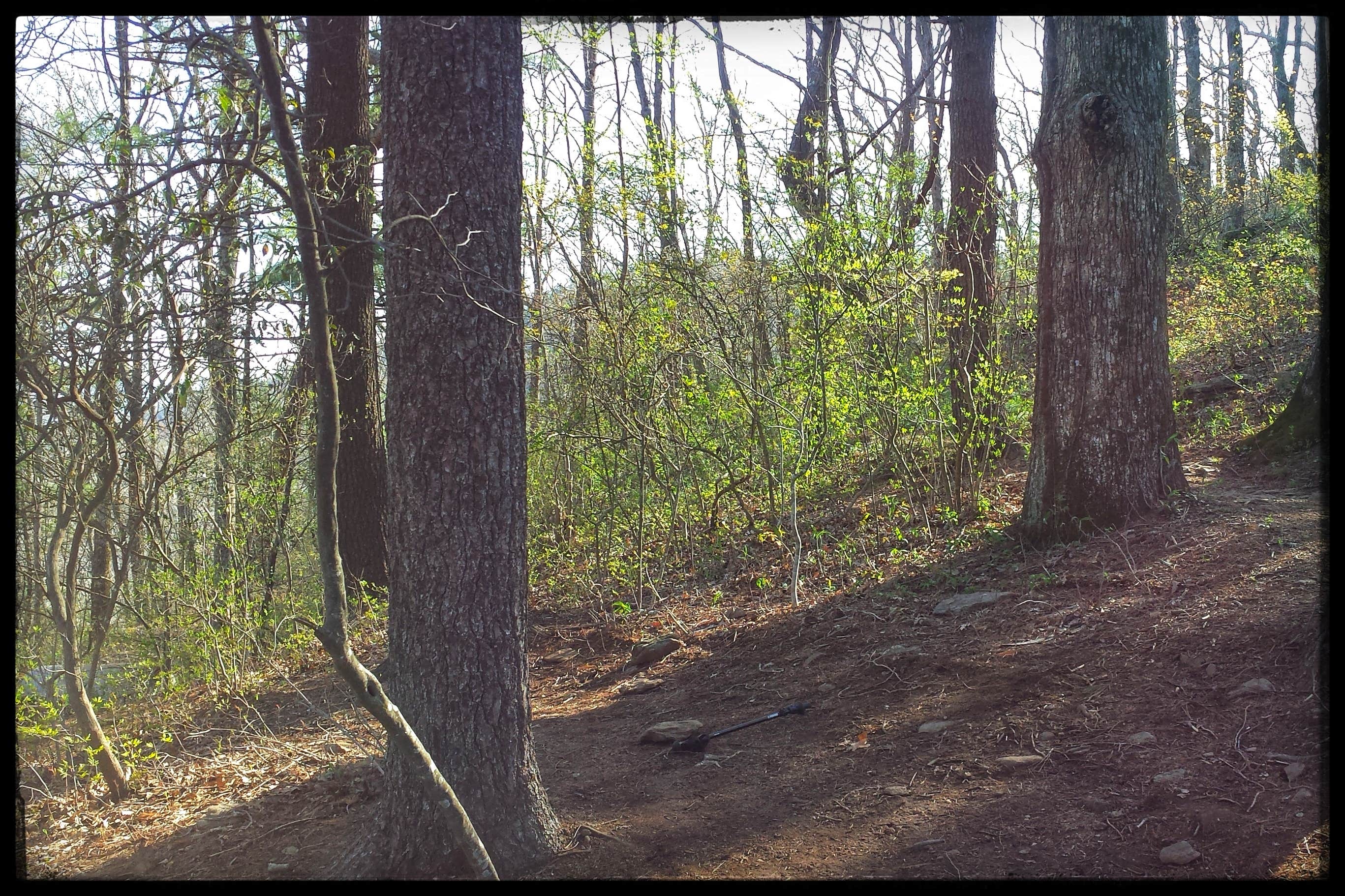 Neels Gap Camping | Suches, GA