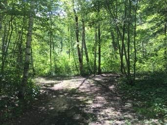 Robinson Park Camping | Sandstone, MN