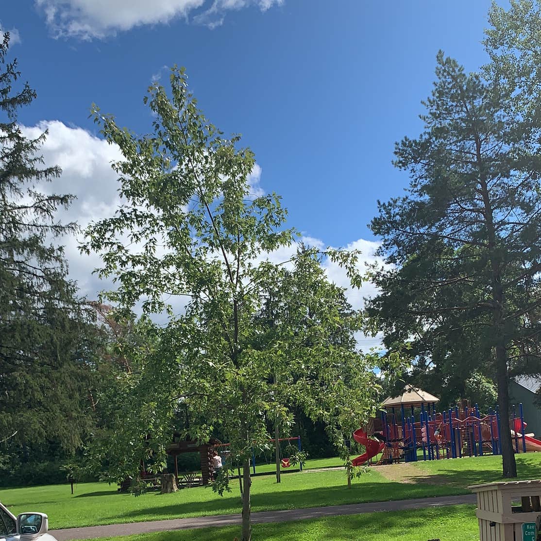 Prentice Park Campground | Ashland, Wisconsin