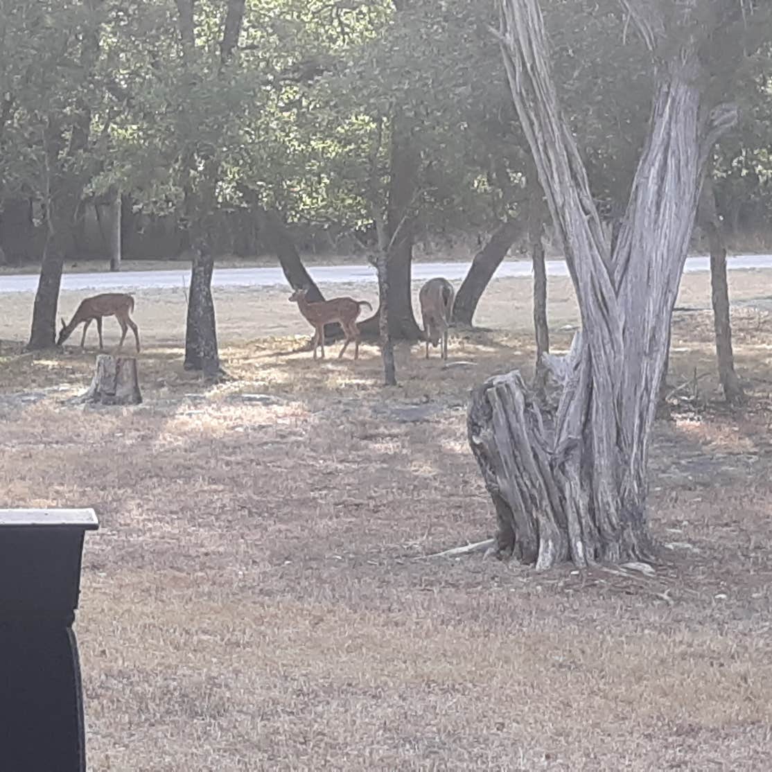 Cedar Ridge (TX) Camping | The Dyrt