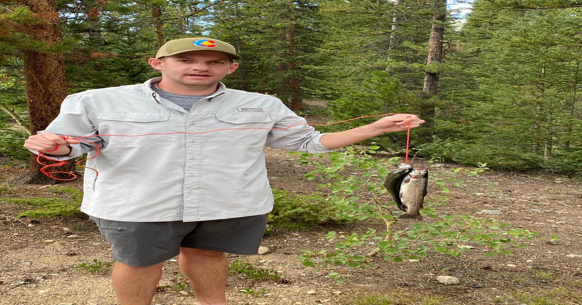 Jefferson Lake Recreation Area Camping | Jefferson, Colorado