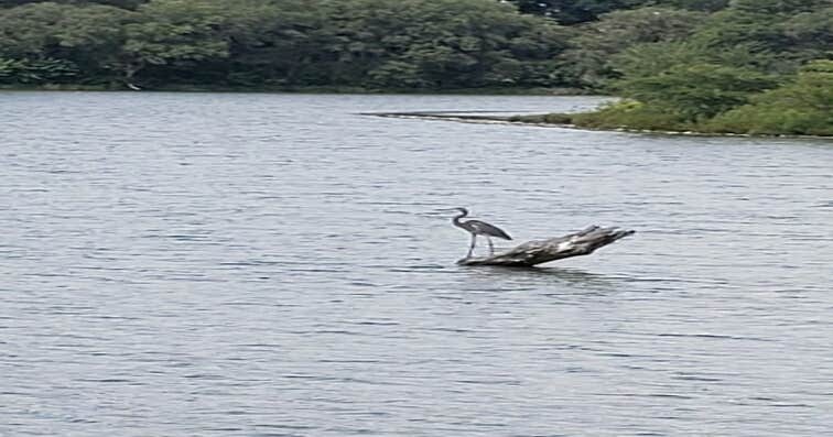 Verdon Lake State Rec Area Camping | Verdon, NE