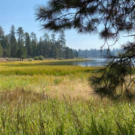 Delintment Lake Camping | The Dyrt