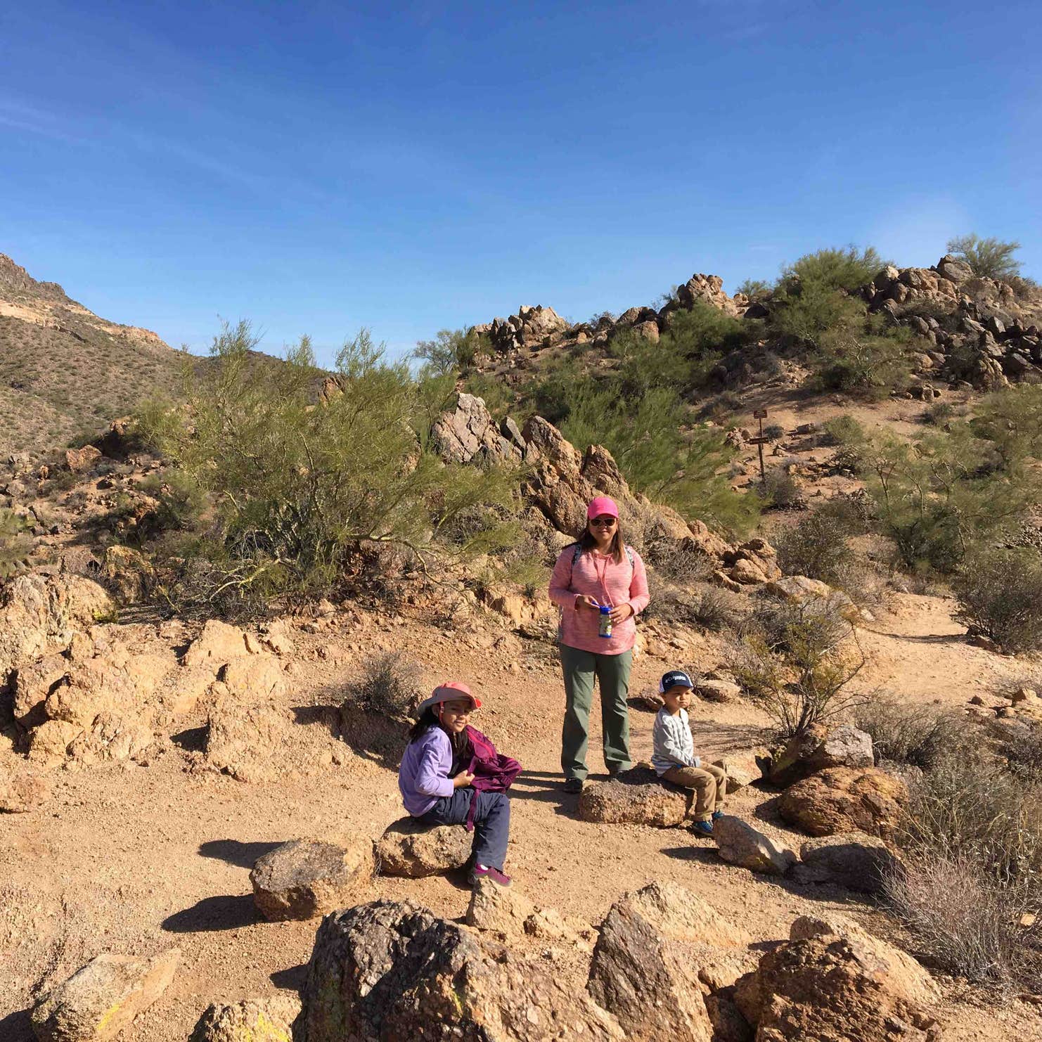 Usery Mountain Regional Park Camping | The Dyrt
