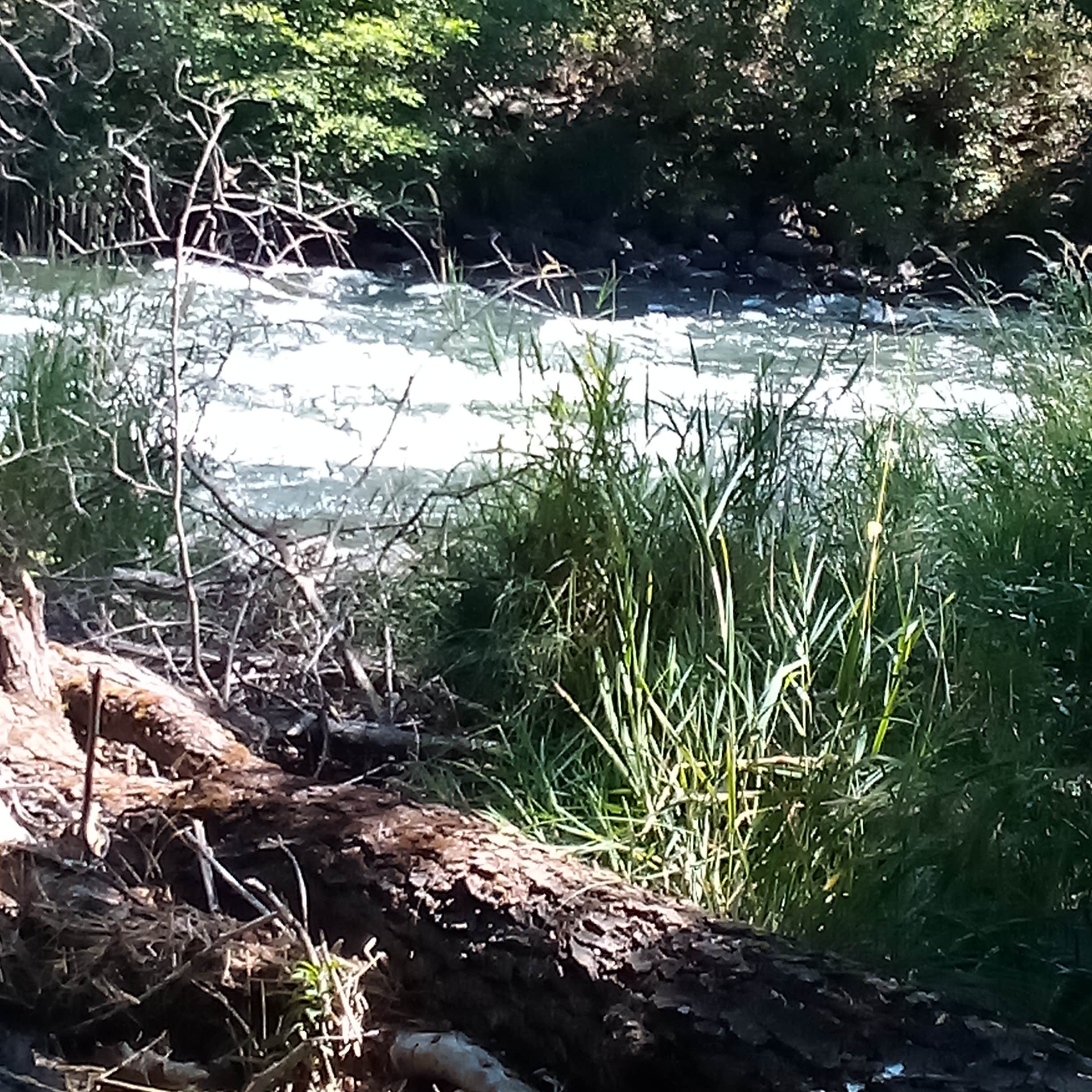 Pit River Campground | Alturas, CA