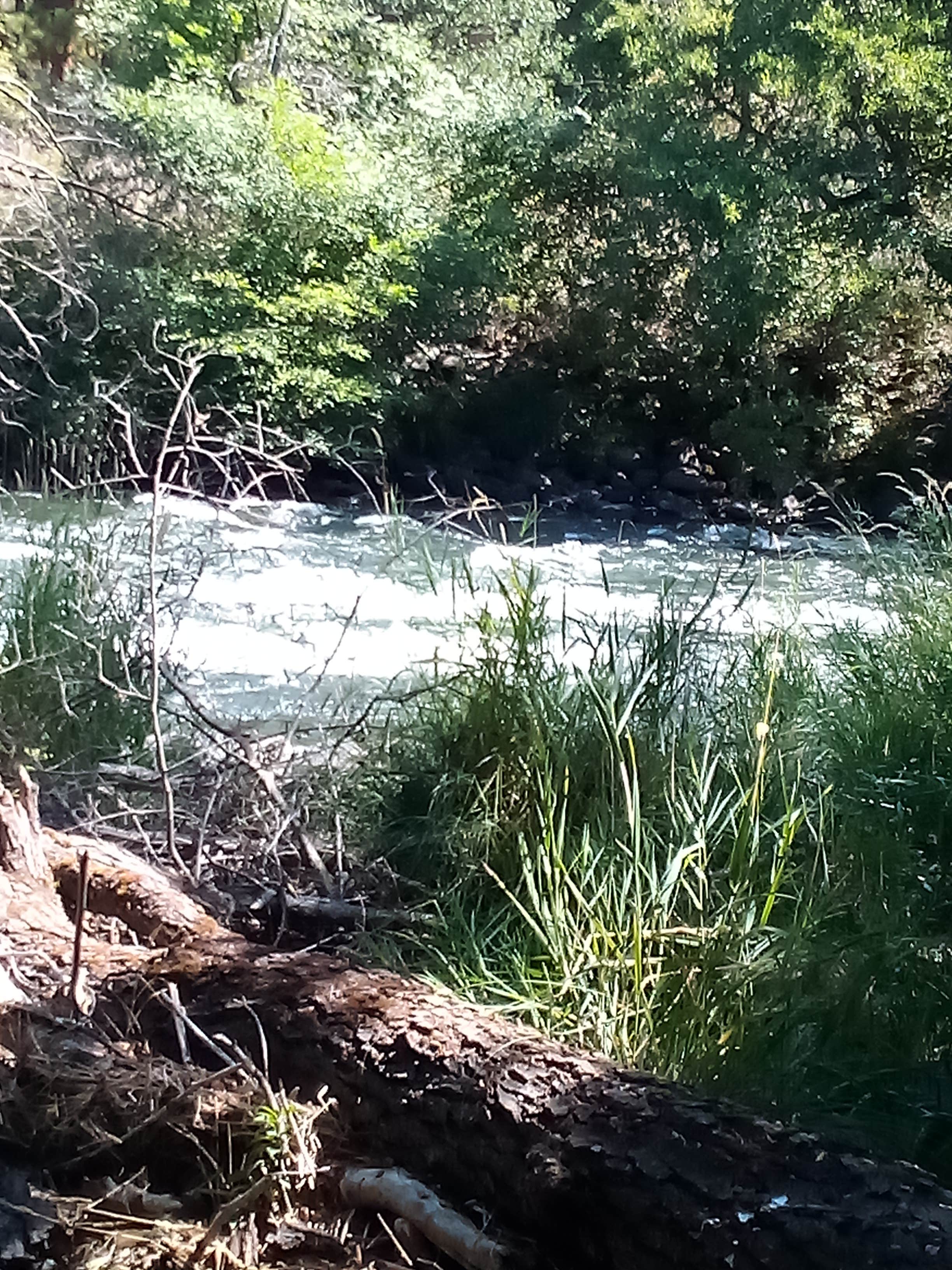 Pit River Campground | Alturas, CA