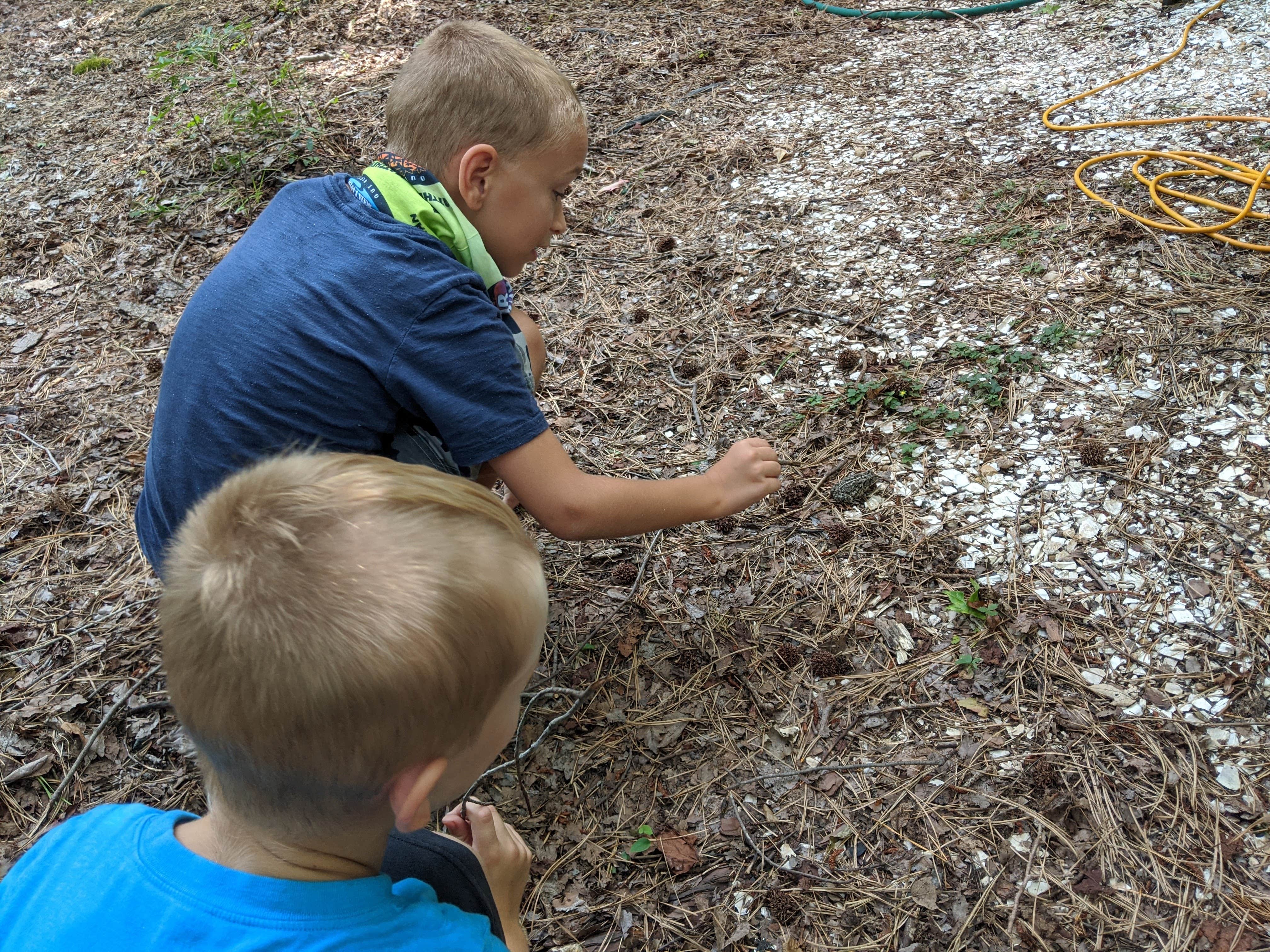 Wading Pines Camping Resort | Chatsworth, NJ Wading Pines Camping Resort | Chatsworth, NJ