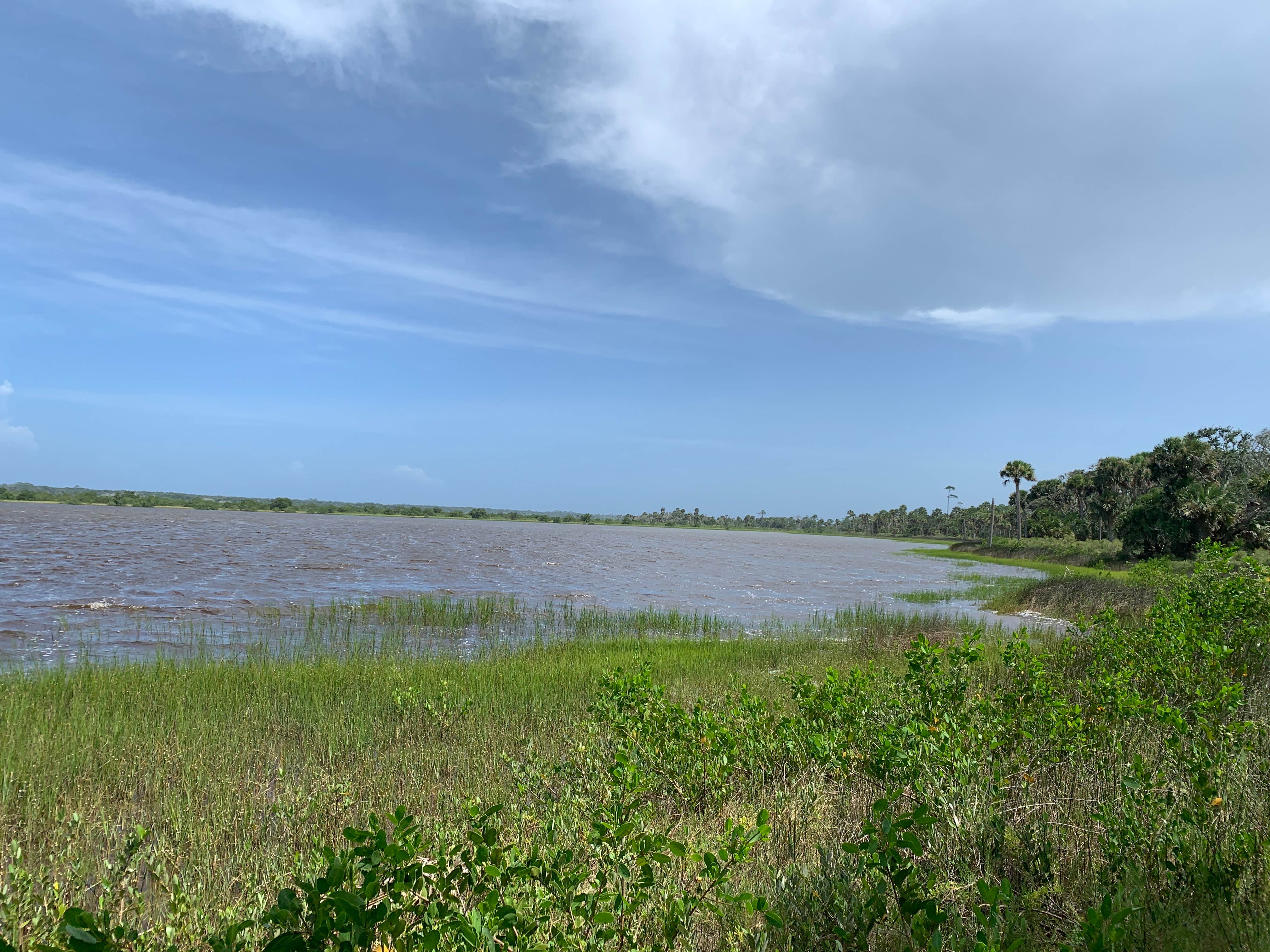 Princess Place Preserve | The Dyrt