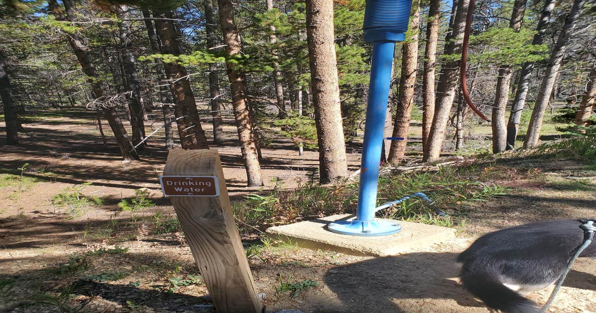 Camper-Submitted Photos of Printer Boy