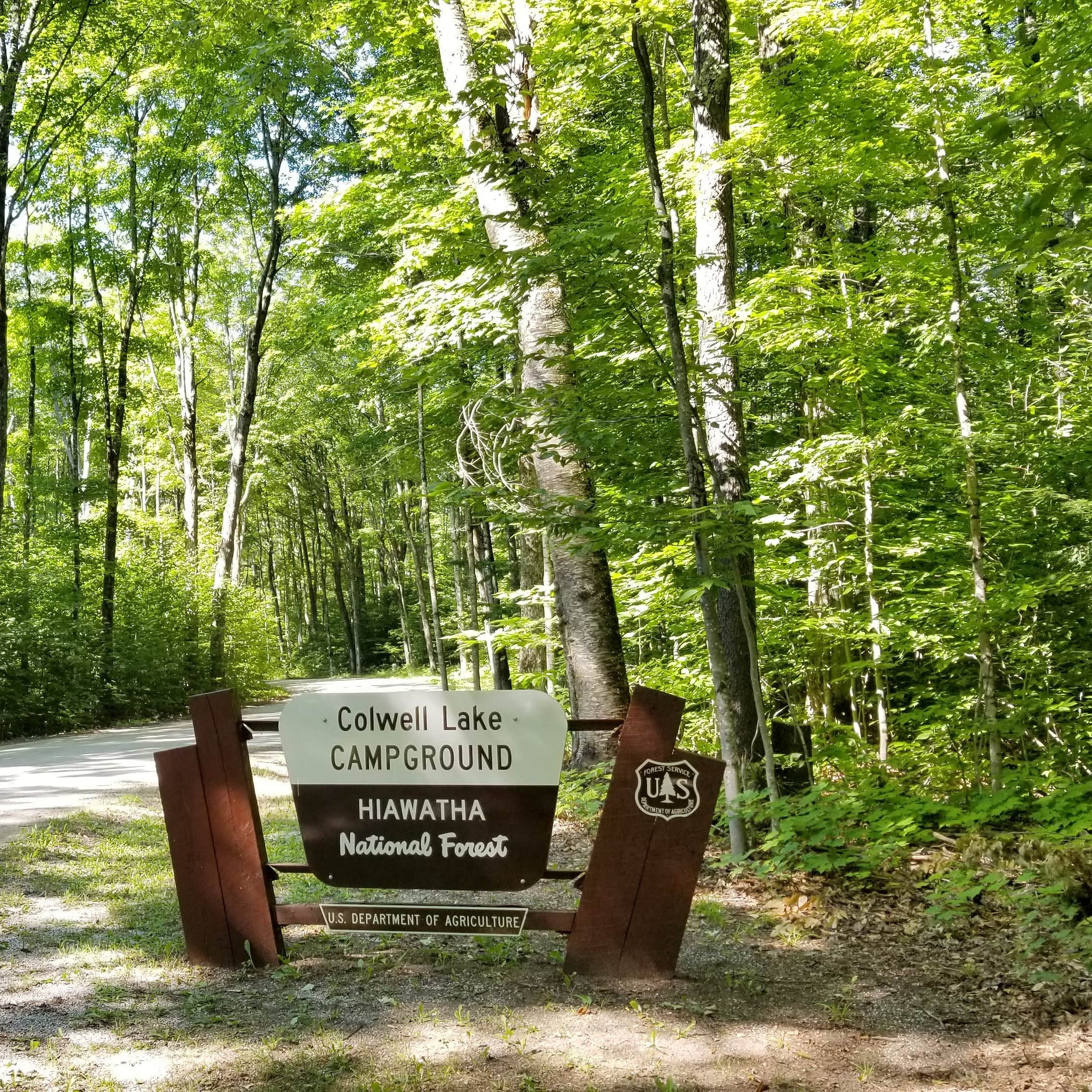 Colwell Lake Campground Camping | The Dyrt