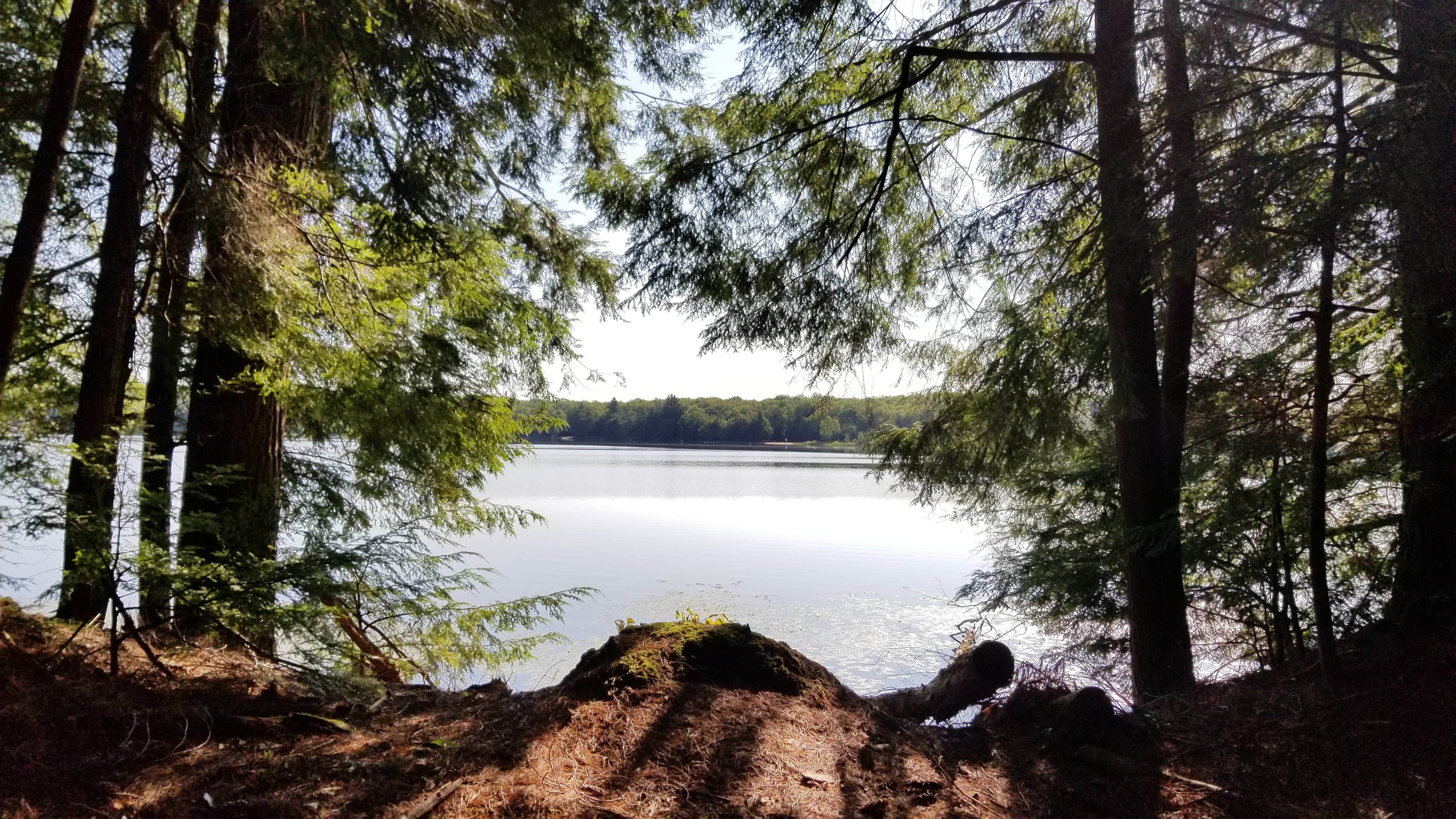 Colwell Lake Campground | The Dyrt