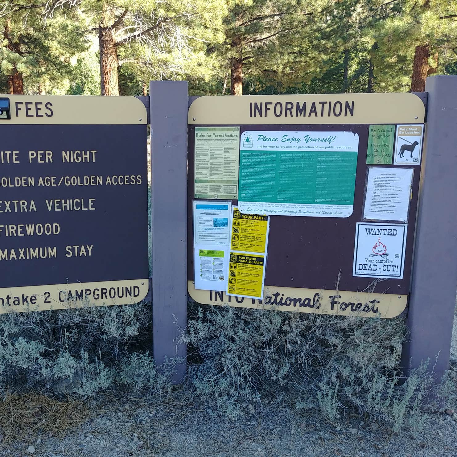 Intake 2 Campground | Bishop, California