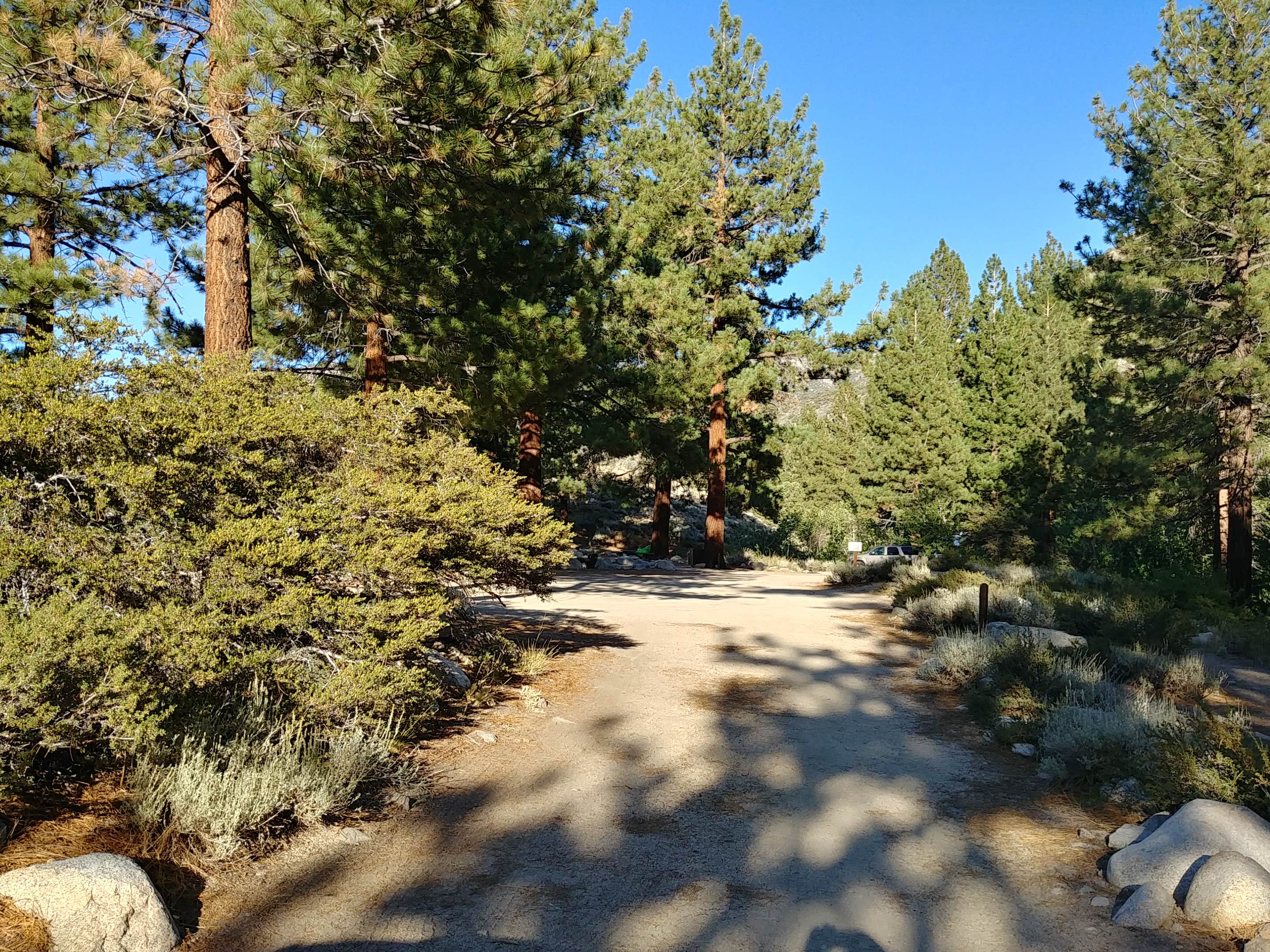 Intake 2 Campground | Bishop, CA