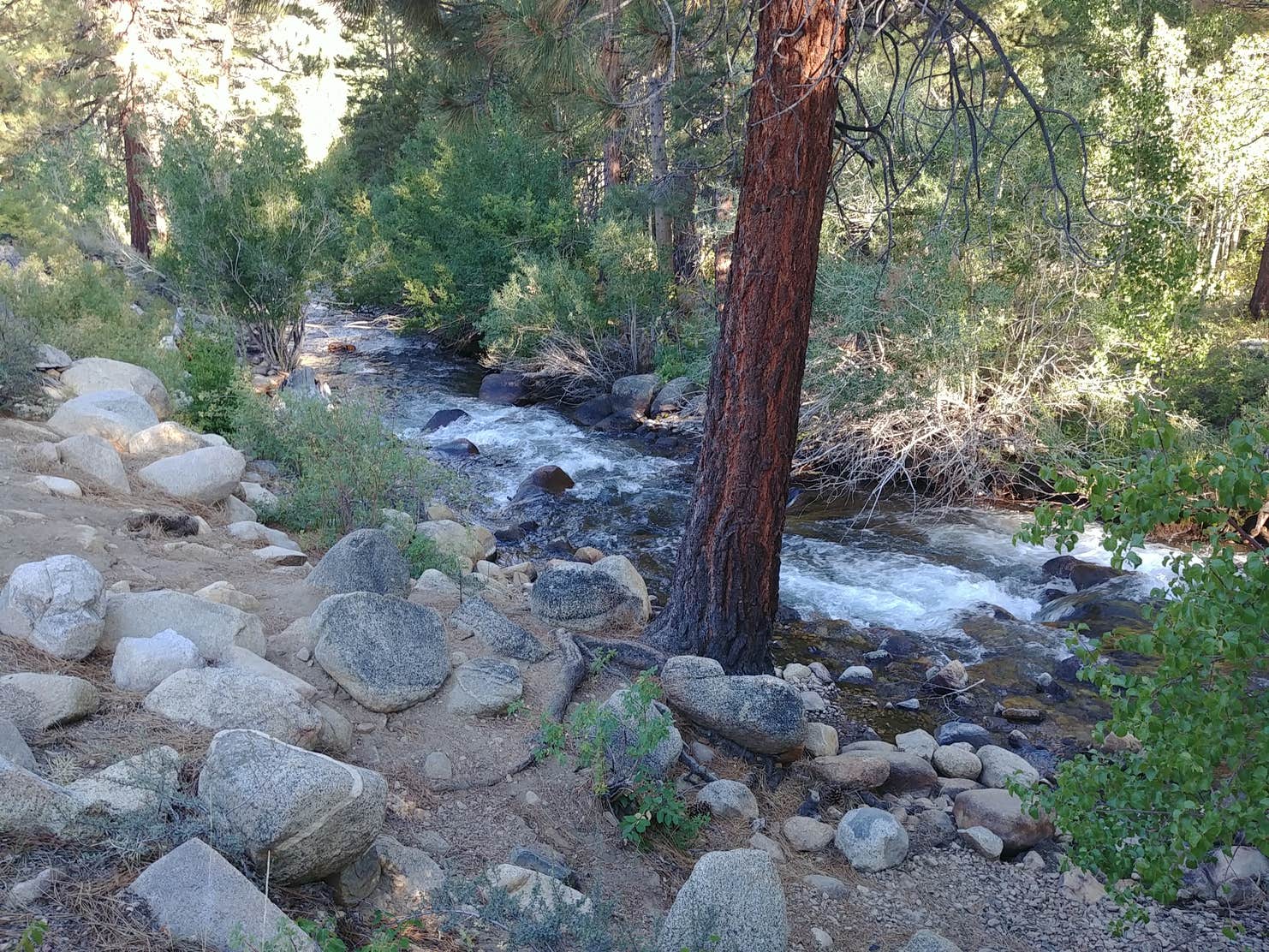 Intake 2 Campground Camping | The Dyrt