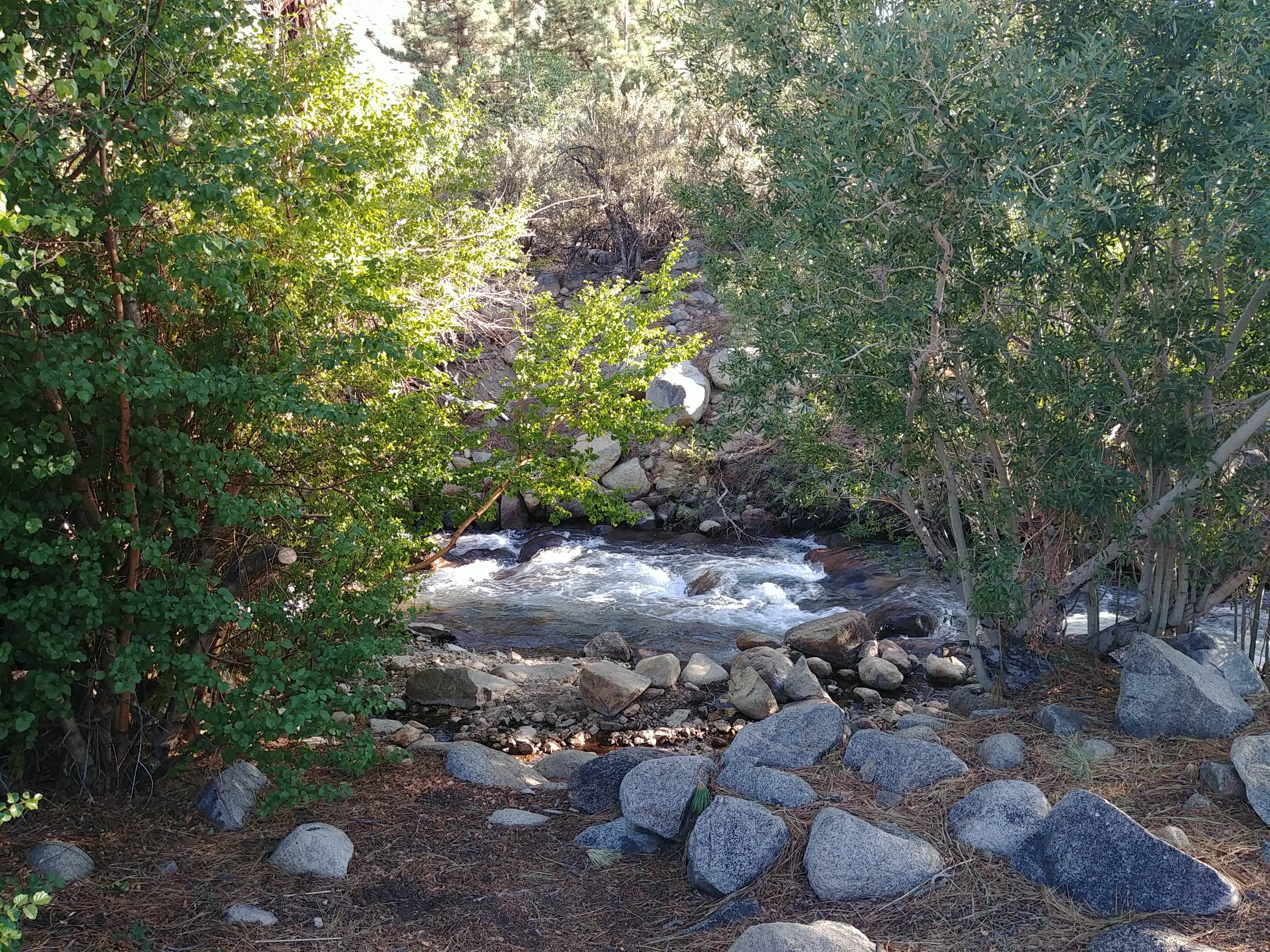 Intake 2 Campground | Bishop, CA