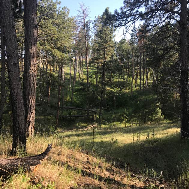 Nebraska National Forest at Chadron Camping | Chadron, NE