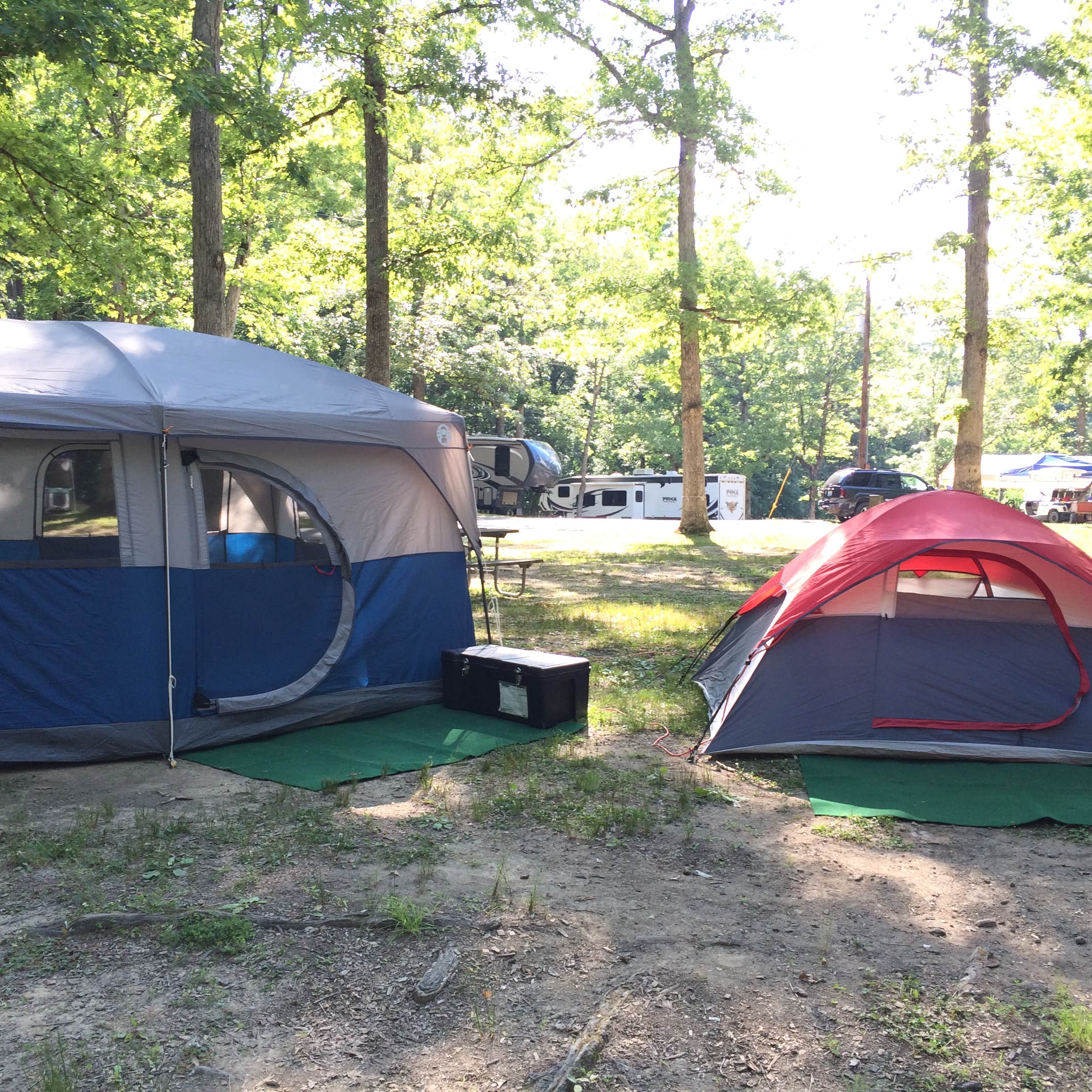 Levi Jackson Wilderness Road State Park Camping | The Dyrt