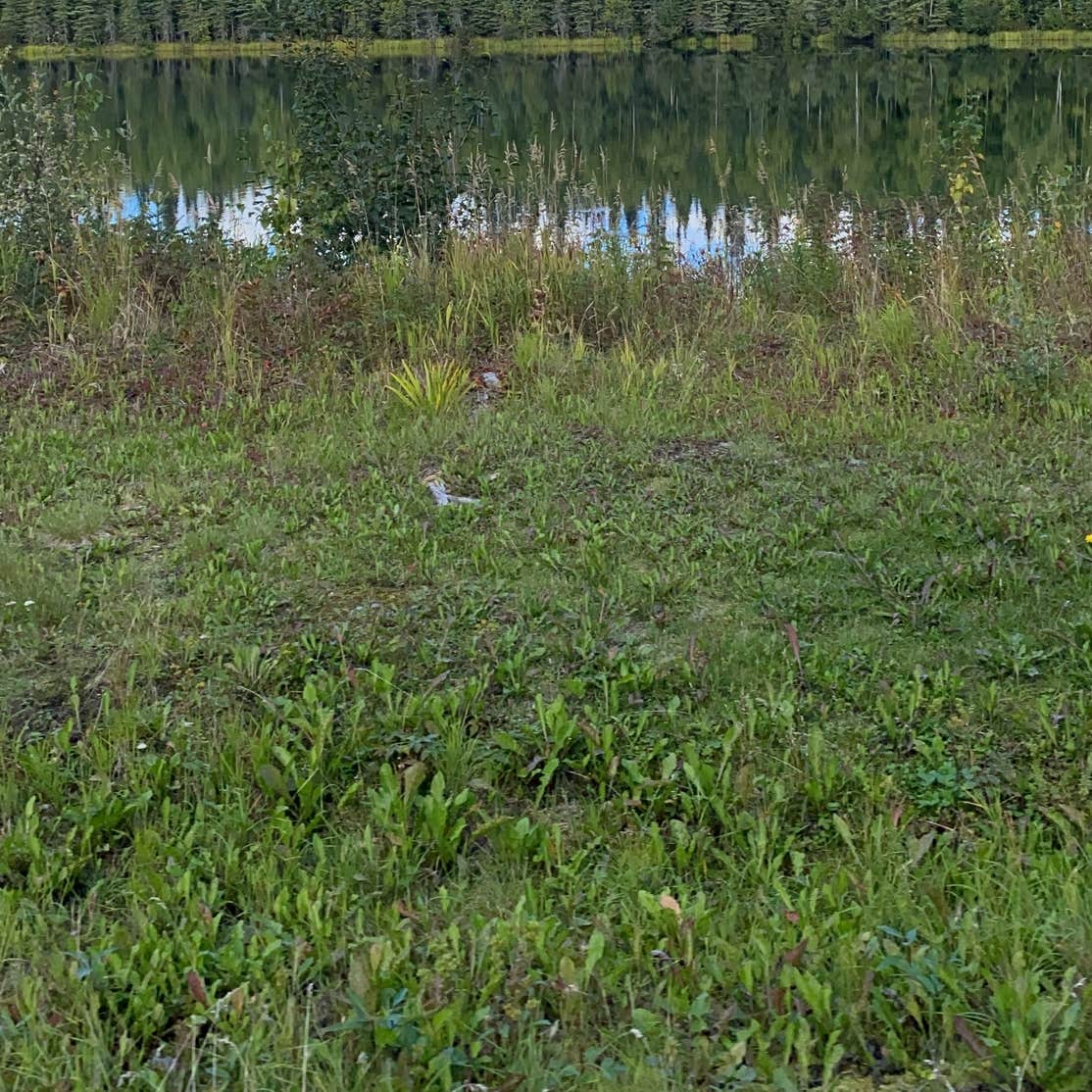 Red Squirrel Campground | Fairbanks, AK